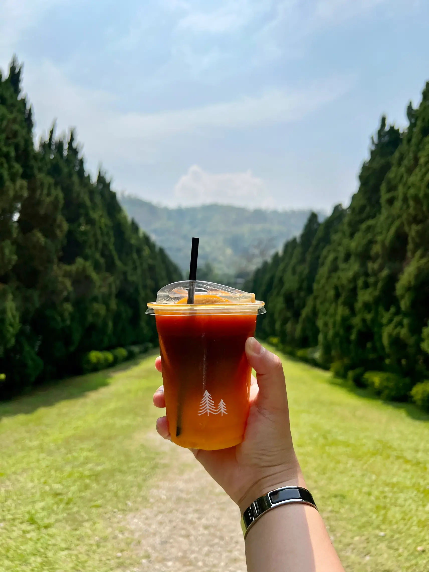 Cypress Lanes 🌲 📍Chiang Mai | แกลเลอรีที่โพสต์โดย Beautyy. | Lemon8