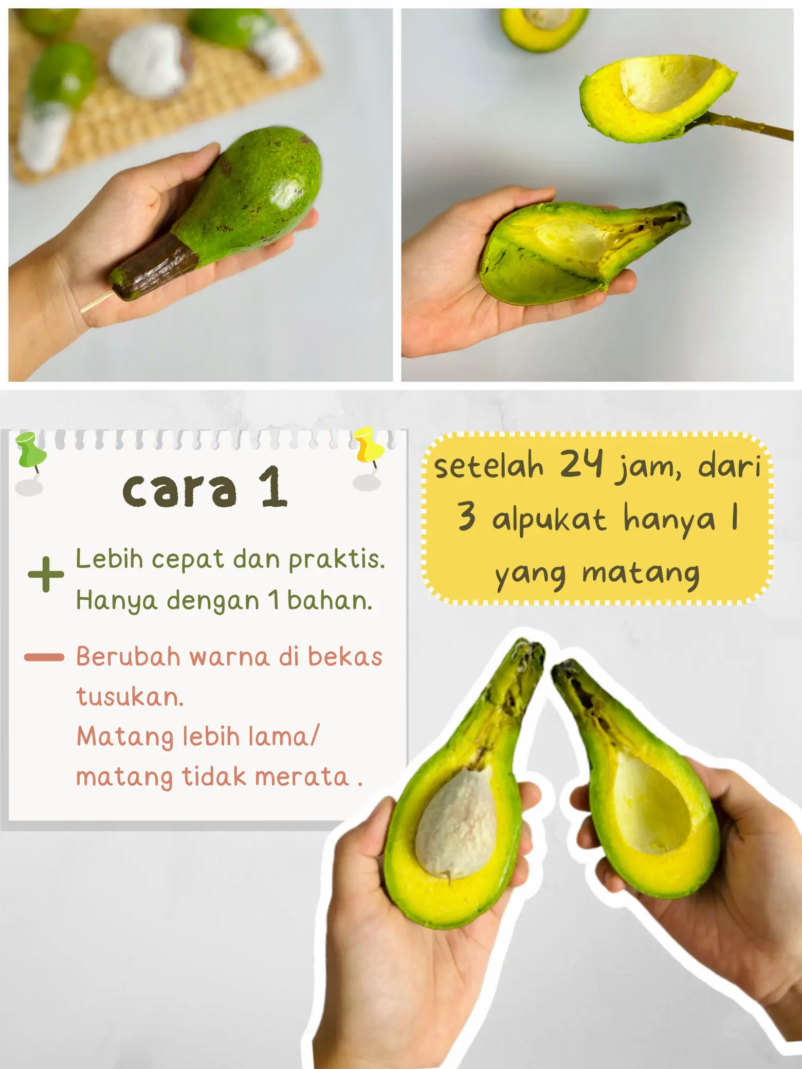 2 cara mematangkan alpukat 🥑 cuma 24 jam! | Galeri diposting oleh Hasna ...
