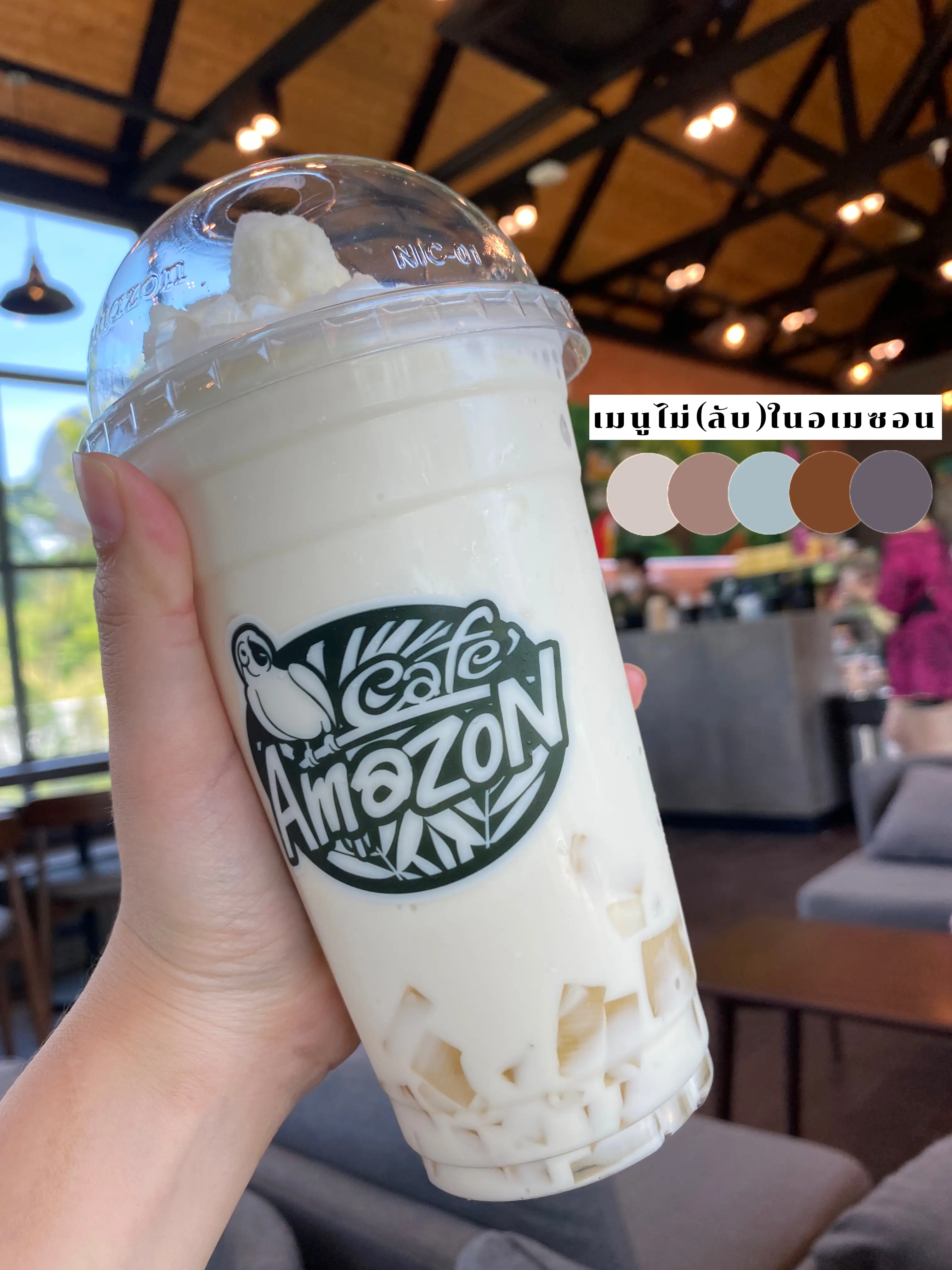 Café Amazon ออกเมนูใหม่ต้อนรับต้นปี😍🧊🍵🌱💚 | แกลเลอรีที่โพสต์โดย nnewsrp⊹ ...