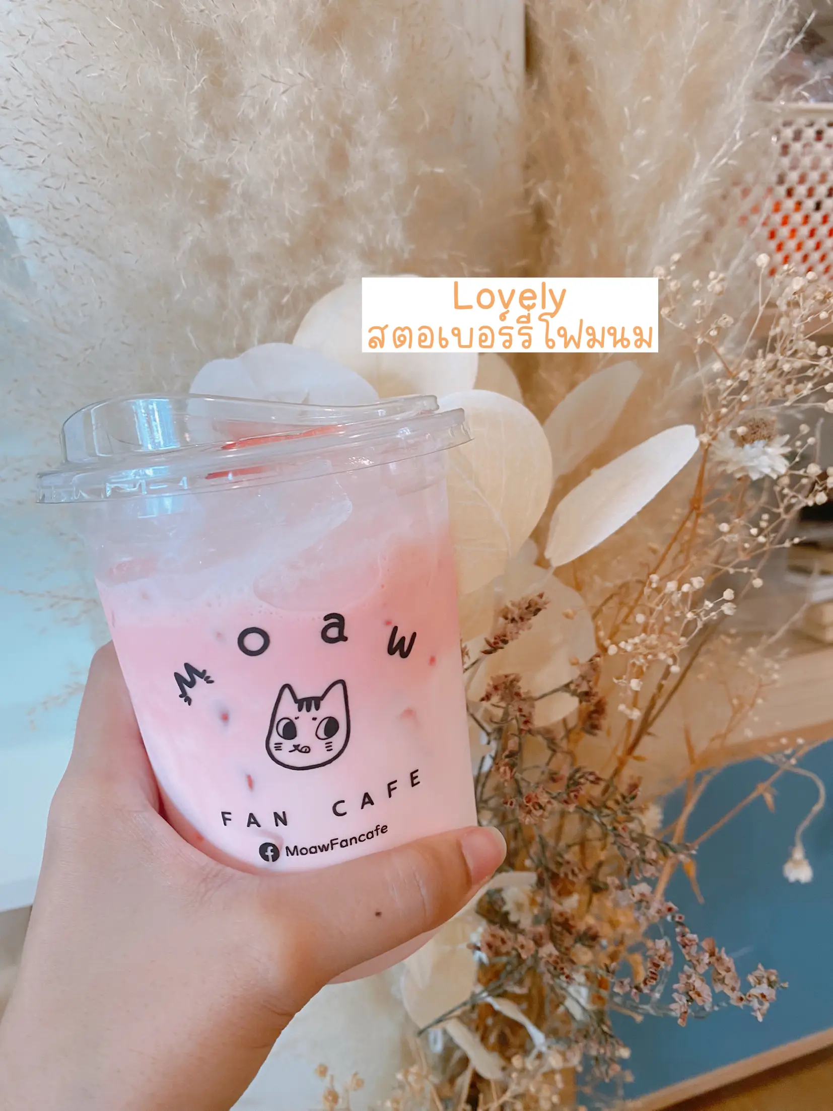 Moaw fan cafe🍰 | แกลเลอรีที่โพสต์โดย janpynx_ | Lemon8