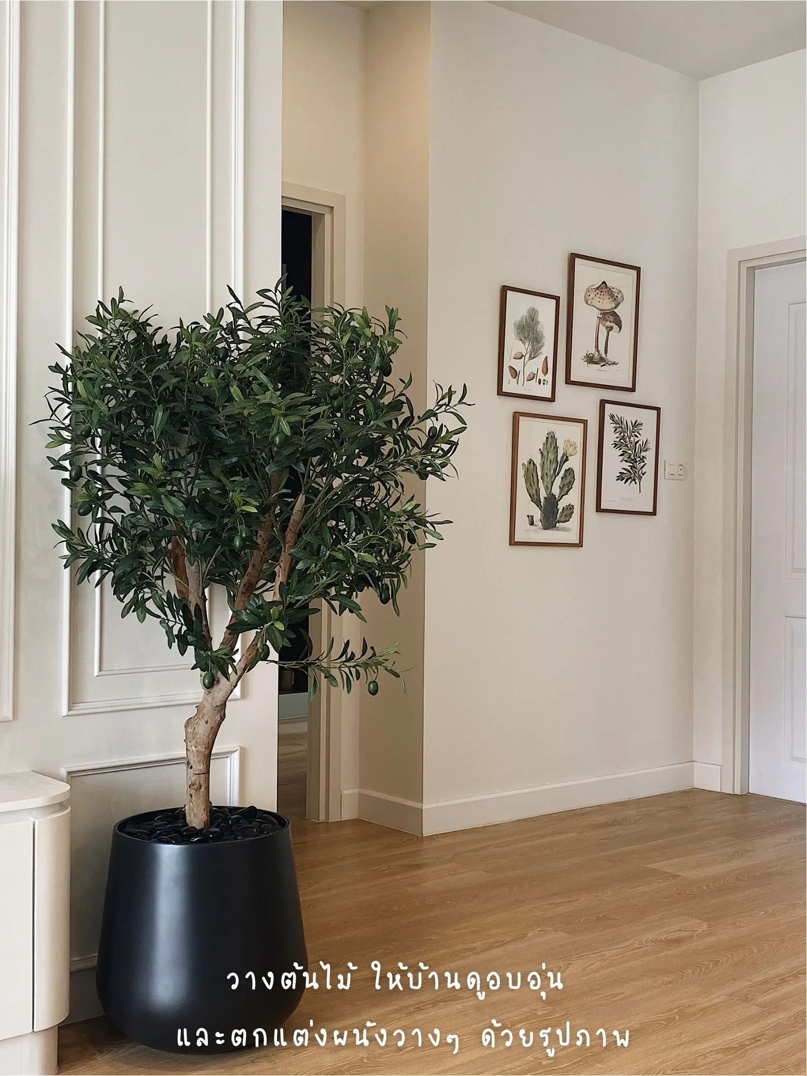 Home Tour | แชร์มุมโปรดภายในบ้านกัน | แกลเลอรีที่โพสต์โดย Ajareeaui | Lemon8