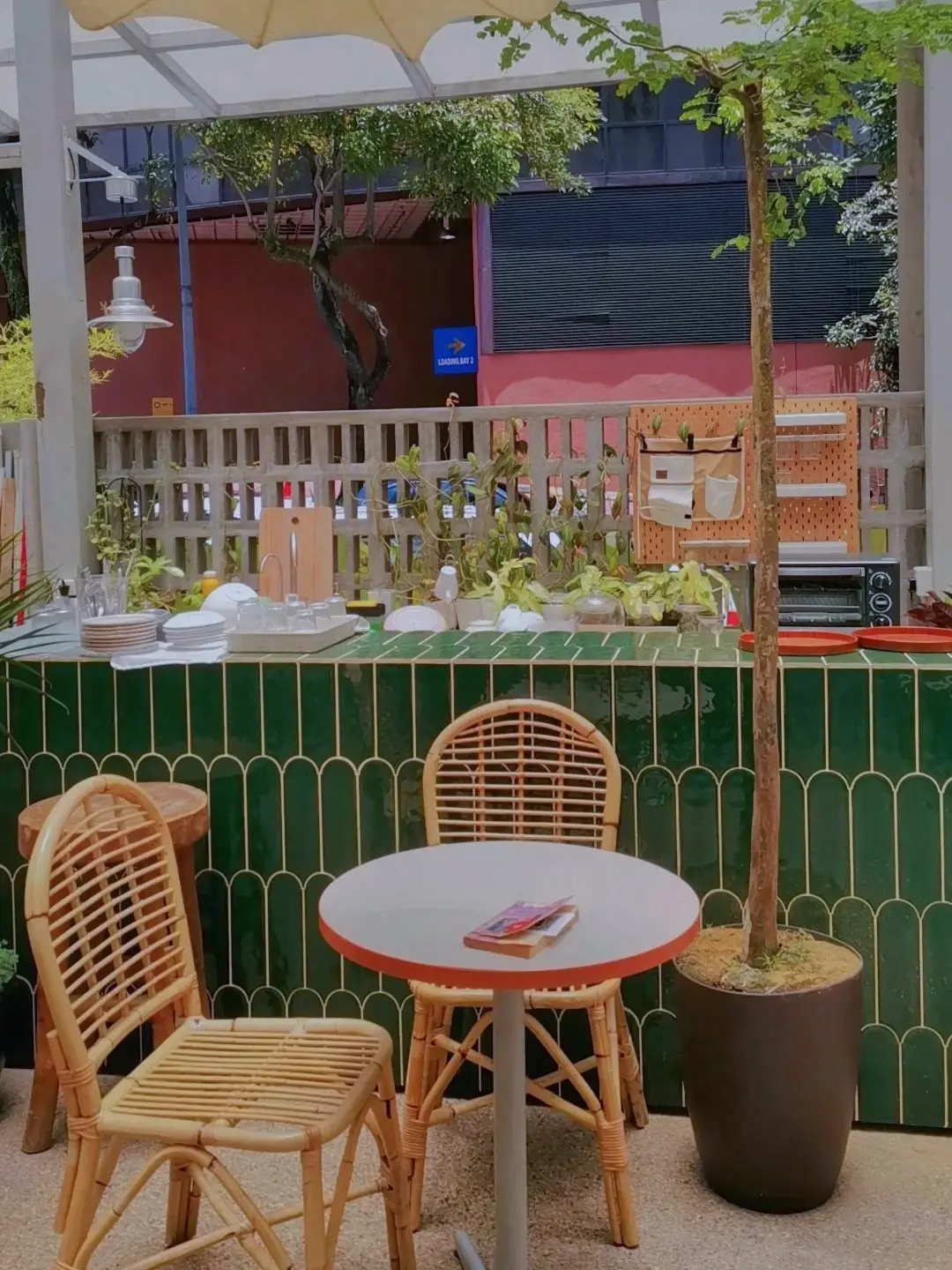 🇲🇾KL Hidden Cat Lover Cafe • Monster A Garden Cafe | Galeri disiarkan ...