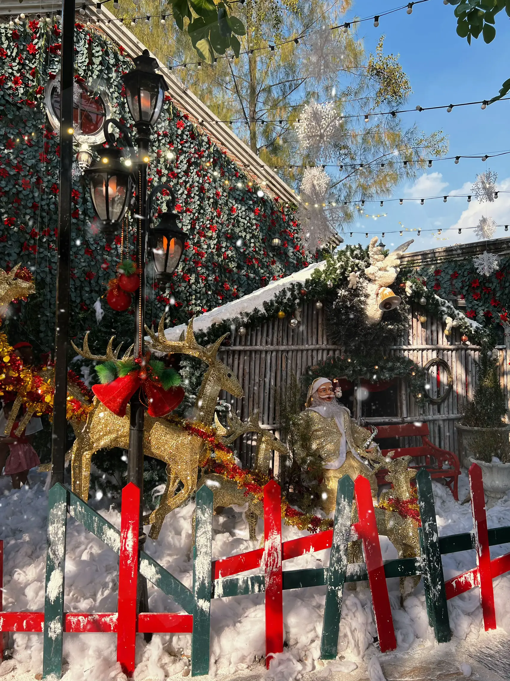 คริสต์มาส 🌲 | แกลเลอรีที่โพสต์โดย Chita_story | Lemon8