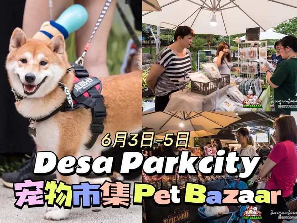 🇲🇾 Pet Bazaar l Create Good Memories with Your Pet | Galeri disiarkan oleh Khushi_茉莉儿 | Lemon8