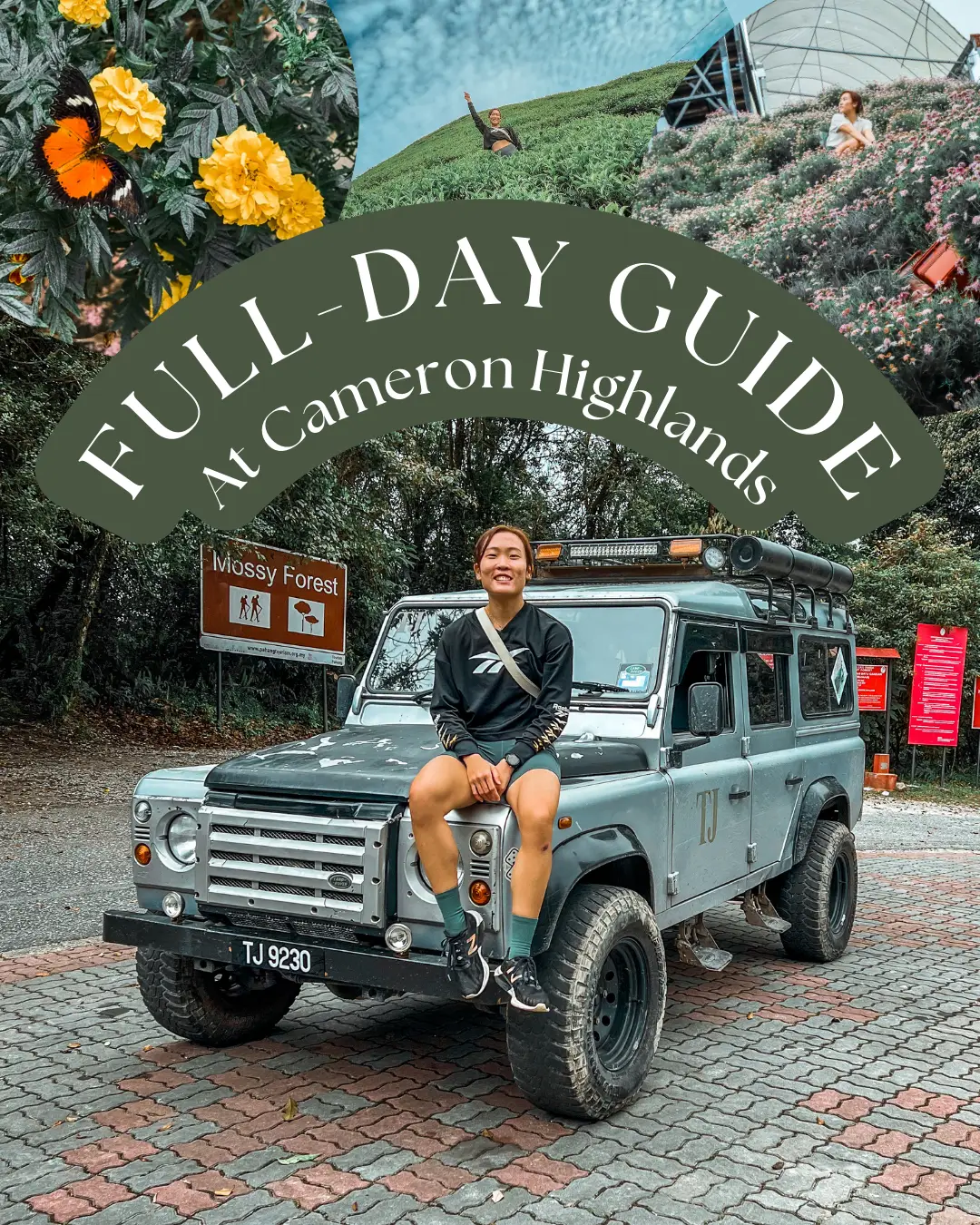 Full-day guide at Cameron Highlands 🌲📸💚🌵 | Gallery posted by Jillian See | Lemon8