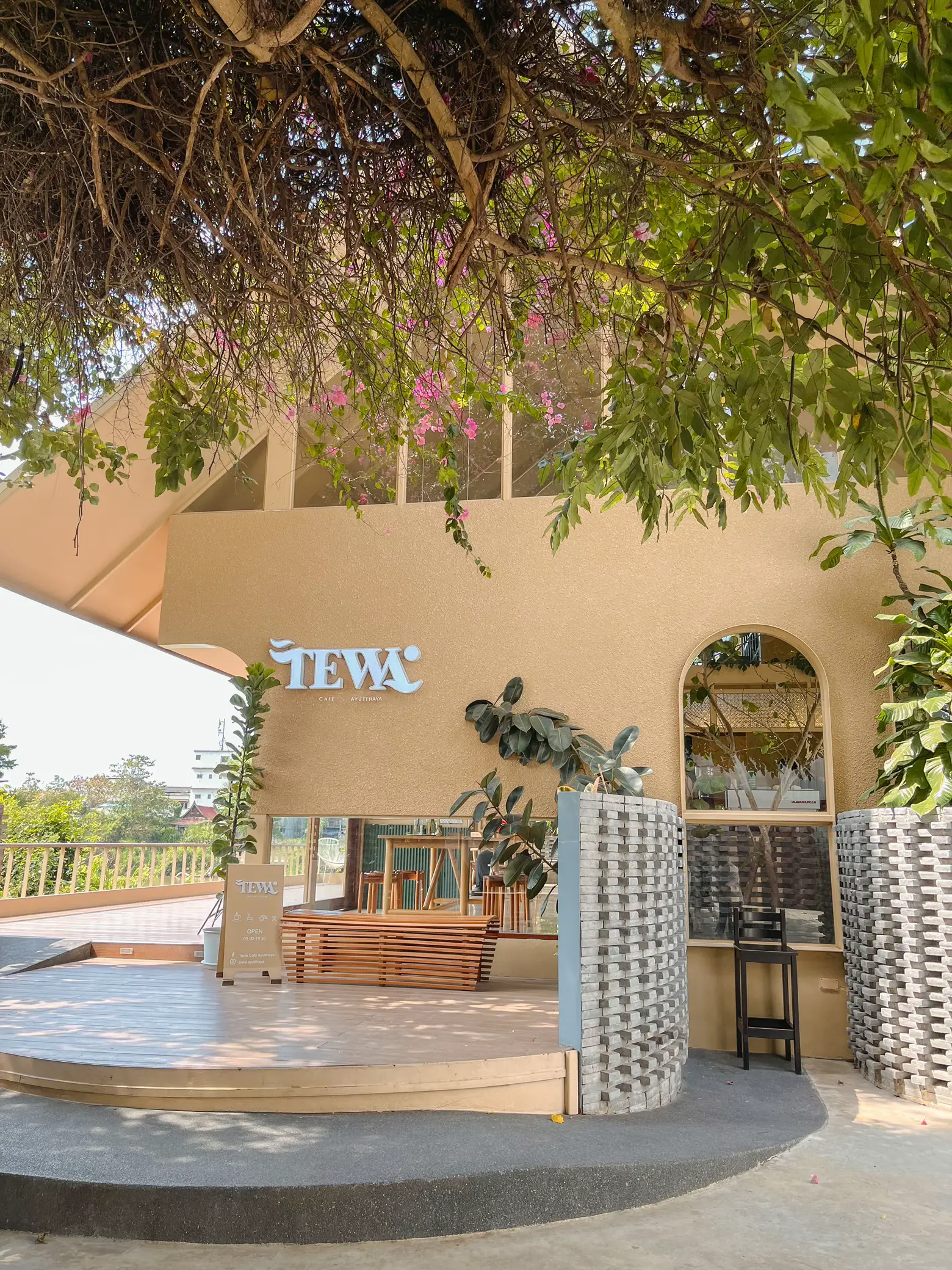 ชมวิวริมน้ำที่ Tewa cafeอยุธยา | ไปกันเล้ย💥 | แกลเลอรีที่โพสต์โดย ...