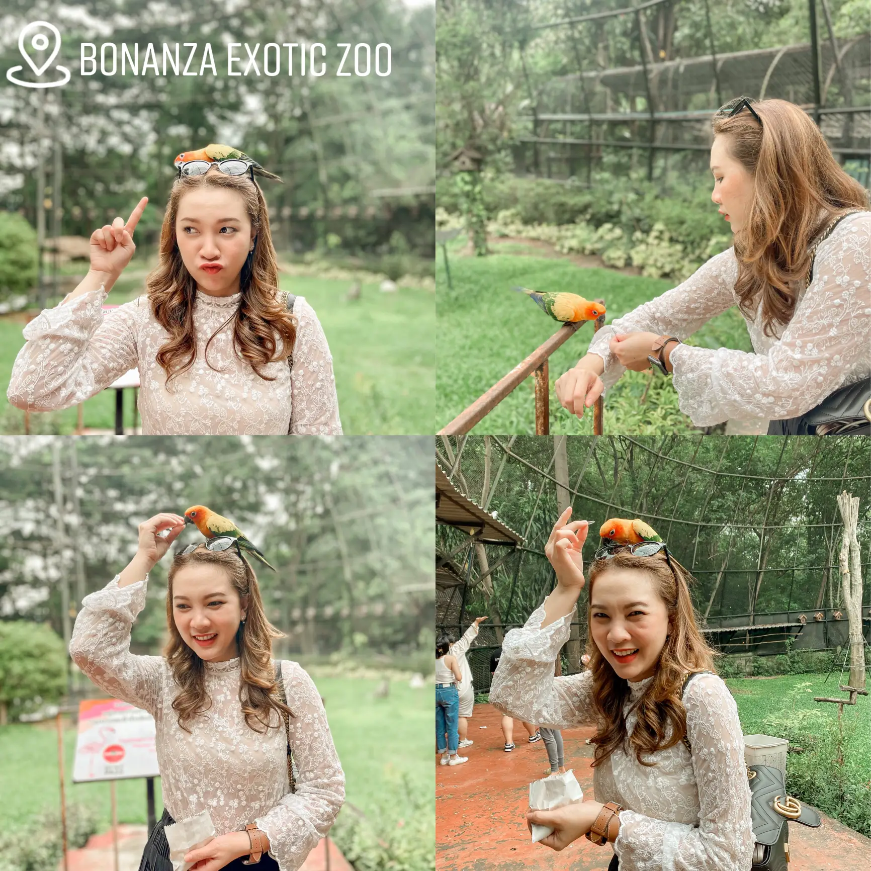 รีวิวเที่ยวเขาใหญ่ (Bonanza Exotic Zoo) | แกลเลอรีที่โพสต์โดย 🍒Mamay 🎀 ...