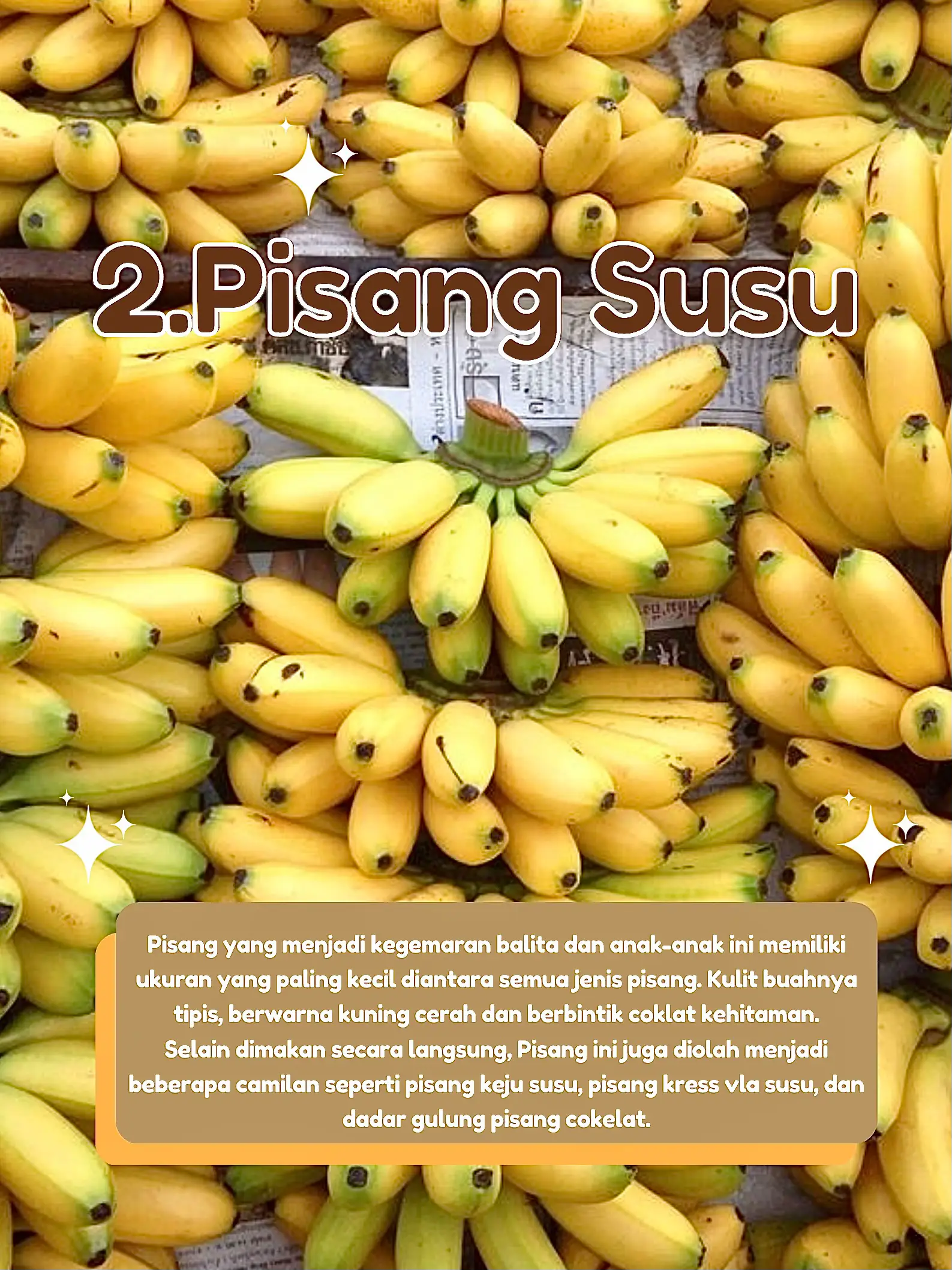 20 ide Jenis Pisang Apa Yg Bisa Di Buat Jus teratas di 2024