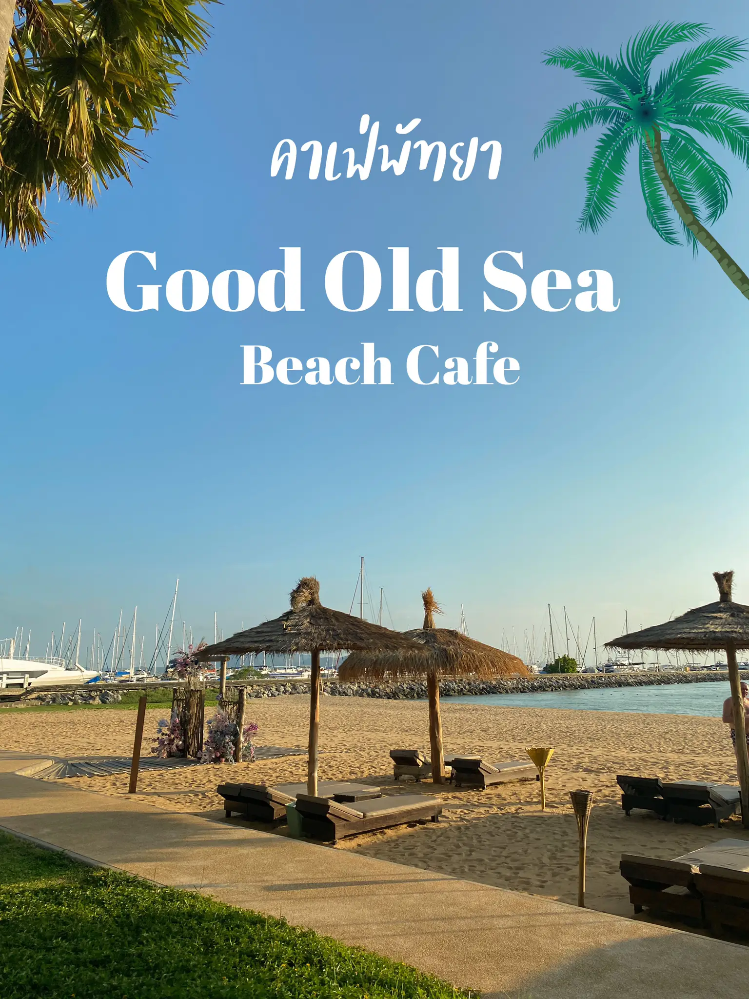 Good Old Sea Beach Cafe คาเฟ่พัทยา 👙🌴 | แกลเลอรีที่โพสต์โดย 🐰 | Lemon8