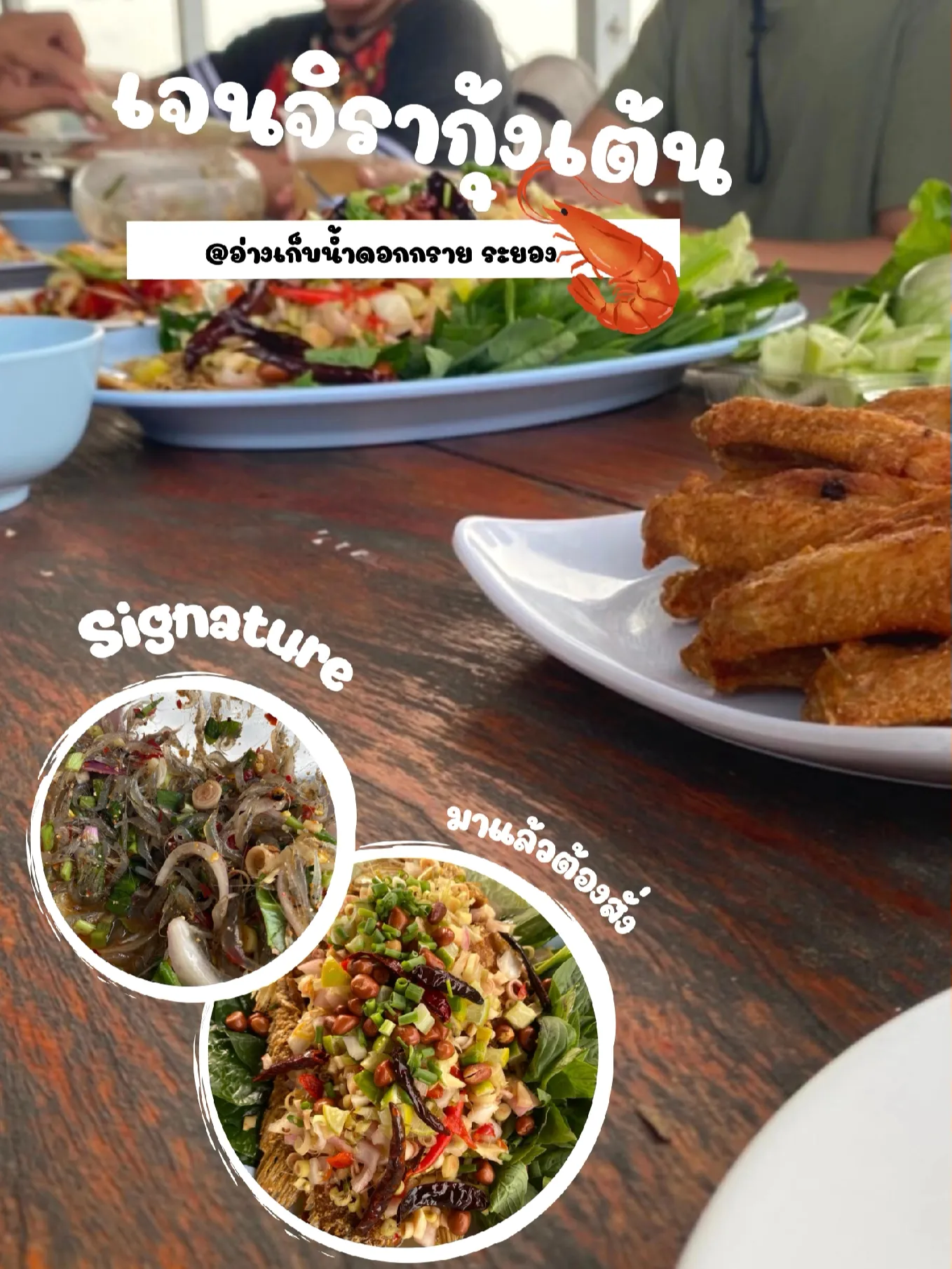 Jane Jiraロブスター🦞@ラヨーンフラワーリザーバー | ch.ntppan08が投稿したフォトブック | Lemon8