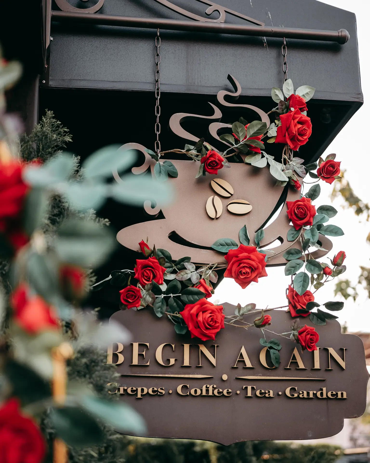 Begin Again จัดธีมวาเลนไทน์สวยมาก มาสวีทวาเลนไทน์กัน 🌹🌹 | แกลเลอรีที่โพสต์โดย Rattomarty | Lemon8