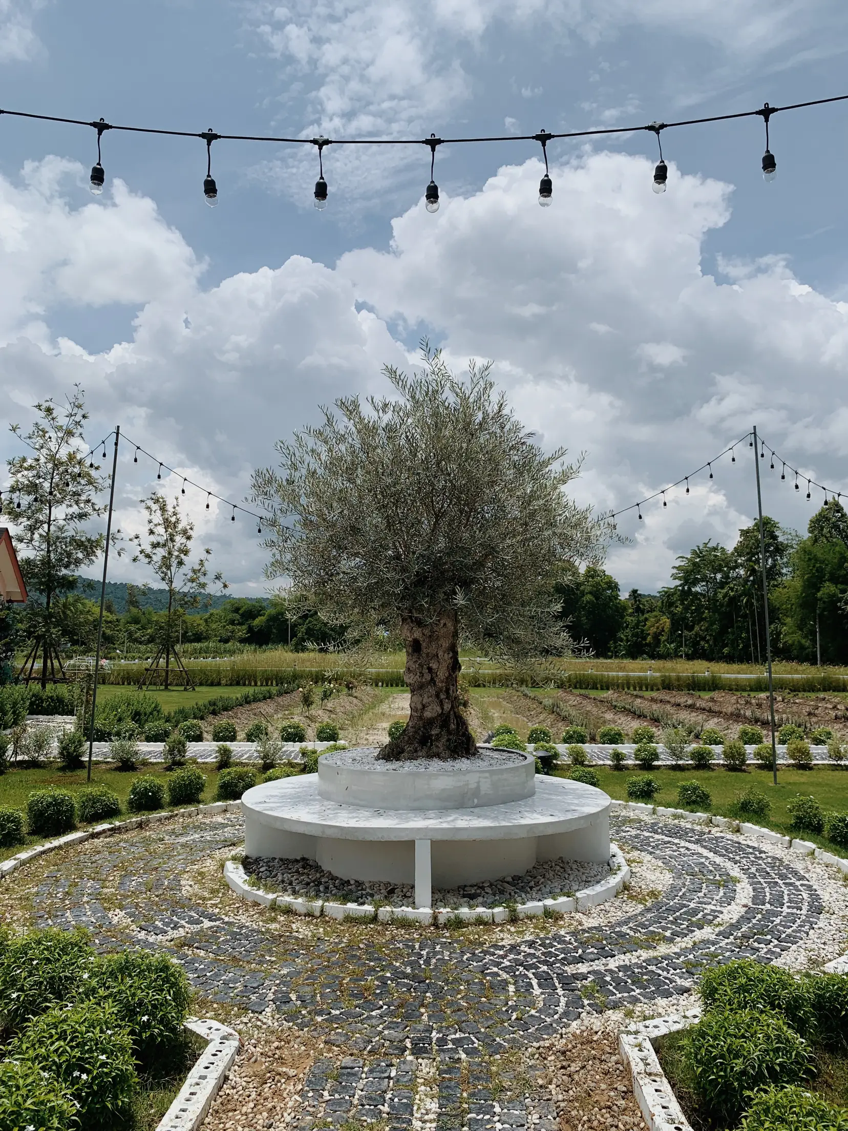 💕 Lerva De Flora Cafe Resort & Spa @จังหวัดนครนายก 🌸 | แกลเลอรีที่โพสต์ ...