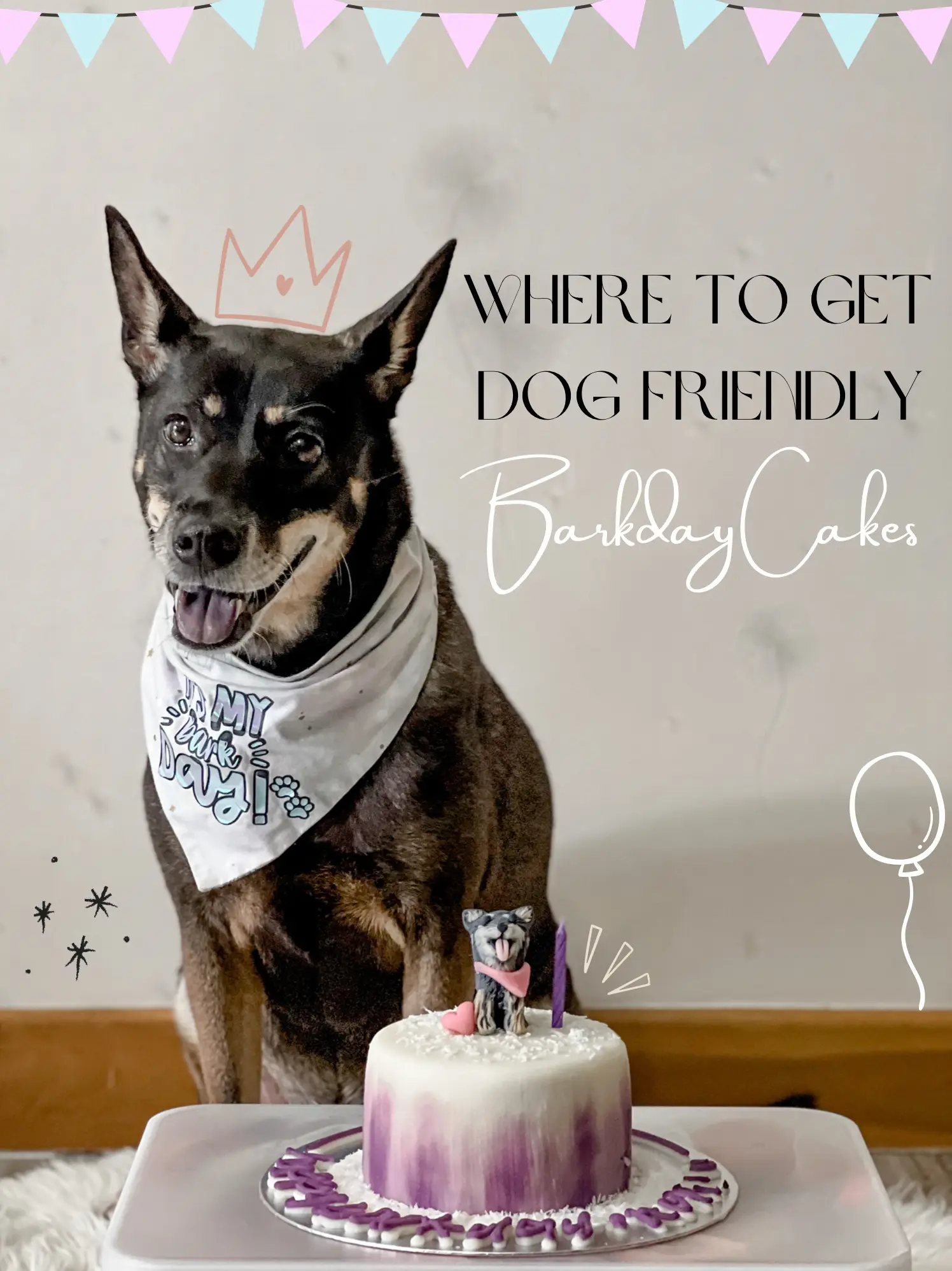 𝘿𝙤𝙜 𝙁𝙧𝙞𝙚𝙣𝙙𝙡𝙮 𝘽𝙖𝙧𝙠𝙙𝙖𝙮 𝘾𝙖𝙠𝙚 | Gallery posted by 𝓘𝓼𝓪𝓫𝓮𝓵 | Lemon8