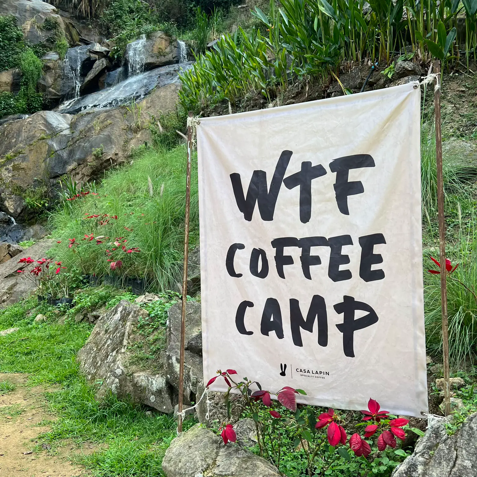 WTF Coffee Camp คาเฟ่เชียงใหม่ สไตล์แคมปิ้ง ริมน้ำตก | แกลเลอรีที่โพสต์โดย Tangstory | Lemon8