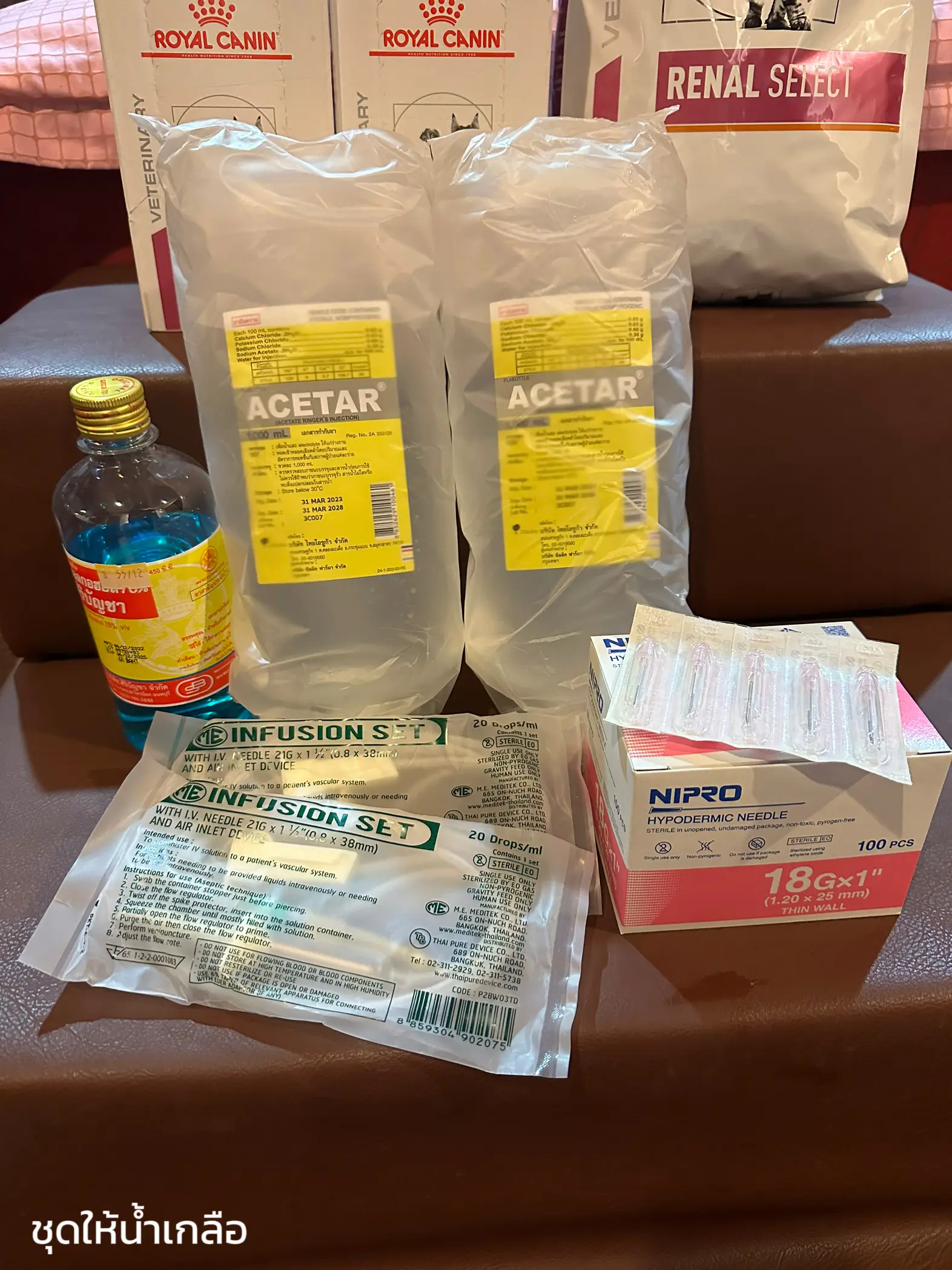 แมวเป็นโรคไตต้องดูแลยังไงบ้าง? | แกลเลอรีที่โพสต์โดย Pumbaa & Nala | Lemon8