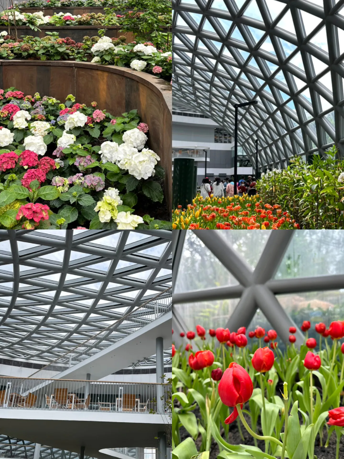 flowas - การค้นหาใน Lemon8