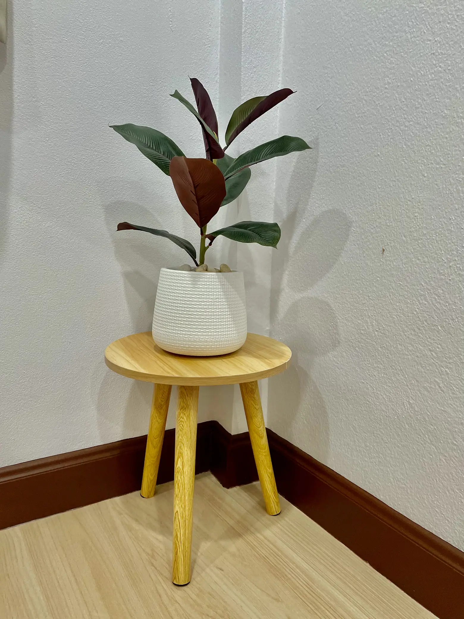 เก้าอี้เล็ก & โต๊ะเล็ก เพิ่มความน่ารักของบ้าน 🤍 | แกลเลอรีที่โพสต์โดย ...