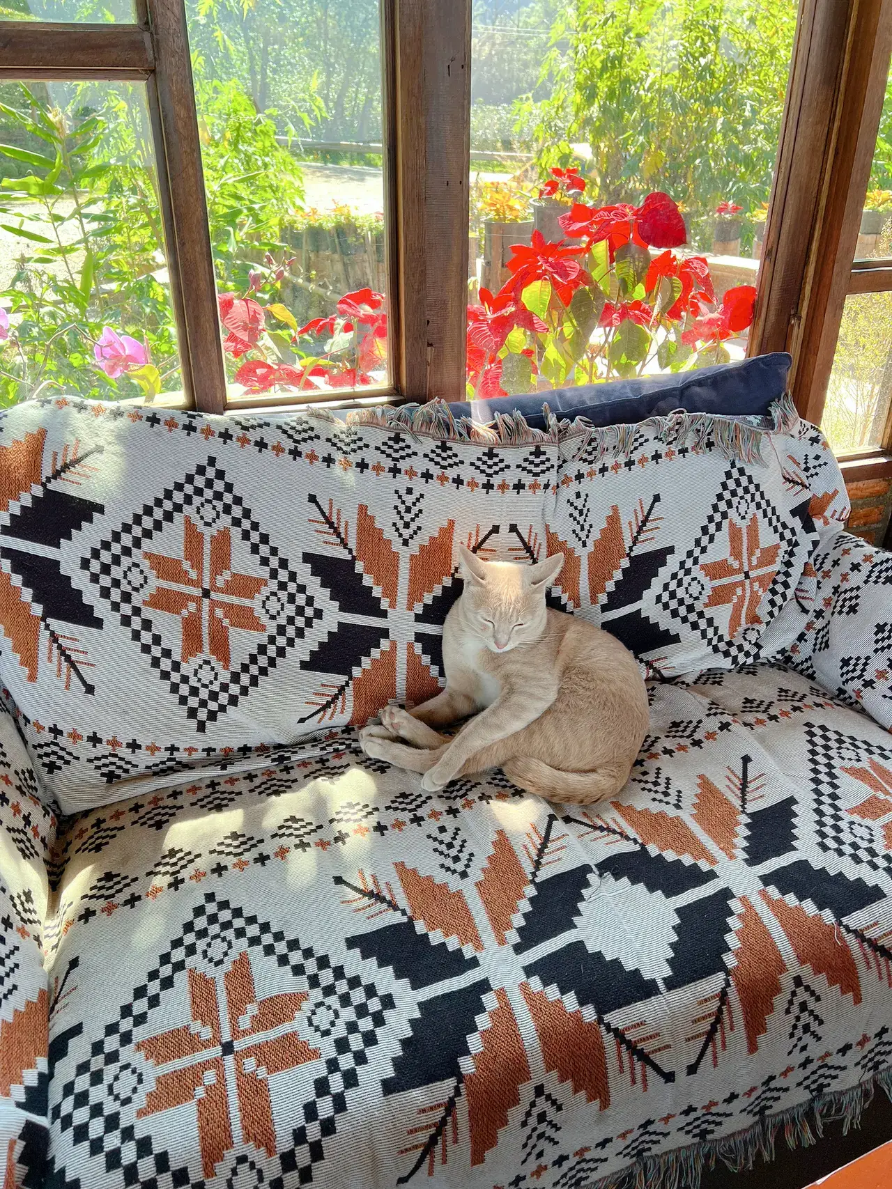 🌿ที่พัก&คาเฟ่เชียงรายห้ามพลาด~The BC2 ดอยช้าง⛰️ | แกลเลอรีที่โพสต์โดย ...