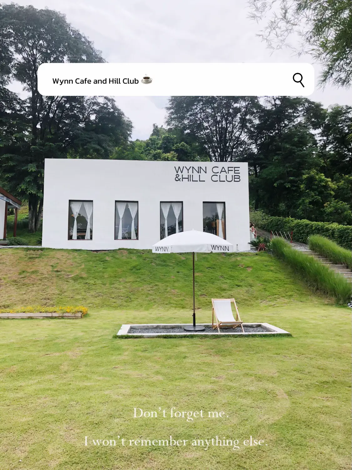 คาเฟ่สระบุรี ฟิลเขาใหญ่ wynn cafe and hill club⛰☕️🦋 | แกลเลอรีที่โพสต์โดย Wanii | Lemon8