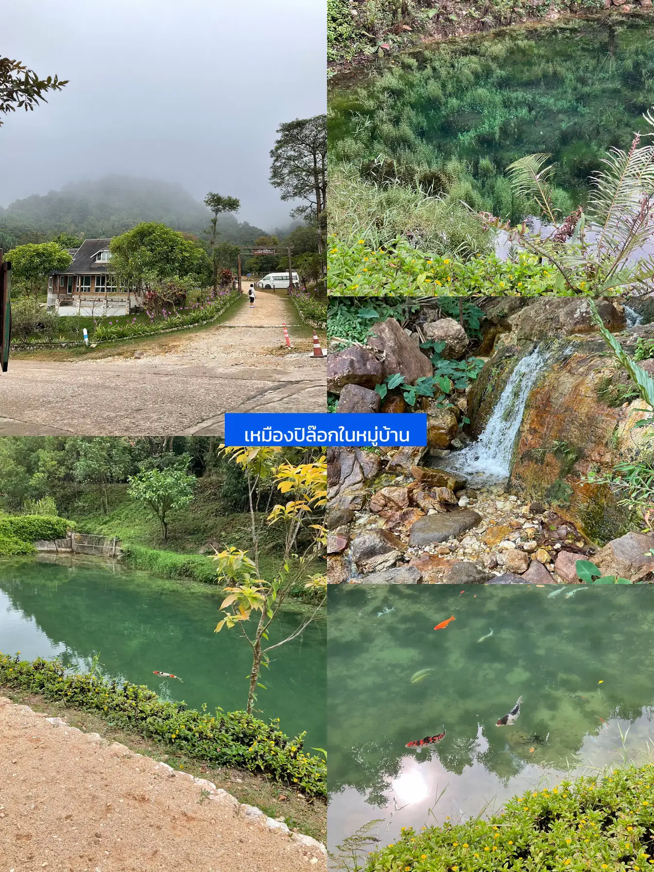 พิชิต 399 โค้งไปกับหมู่บ้านอีต่อง • 2 วัน 1 คืน กับชีวิตบนภูเขา🏔🌳 | แกลเลอรีที่โพสต์โดย ...