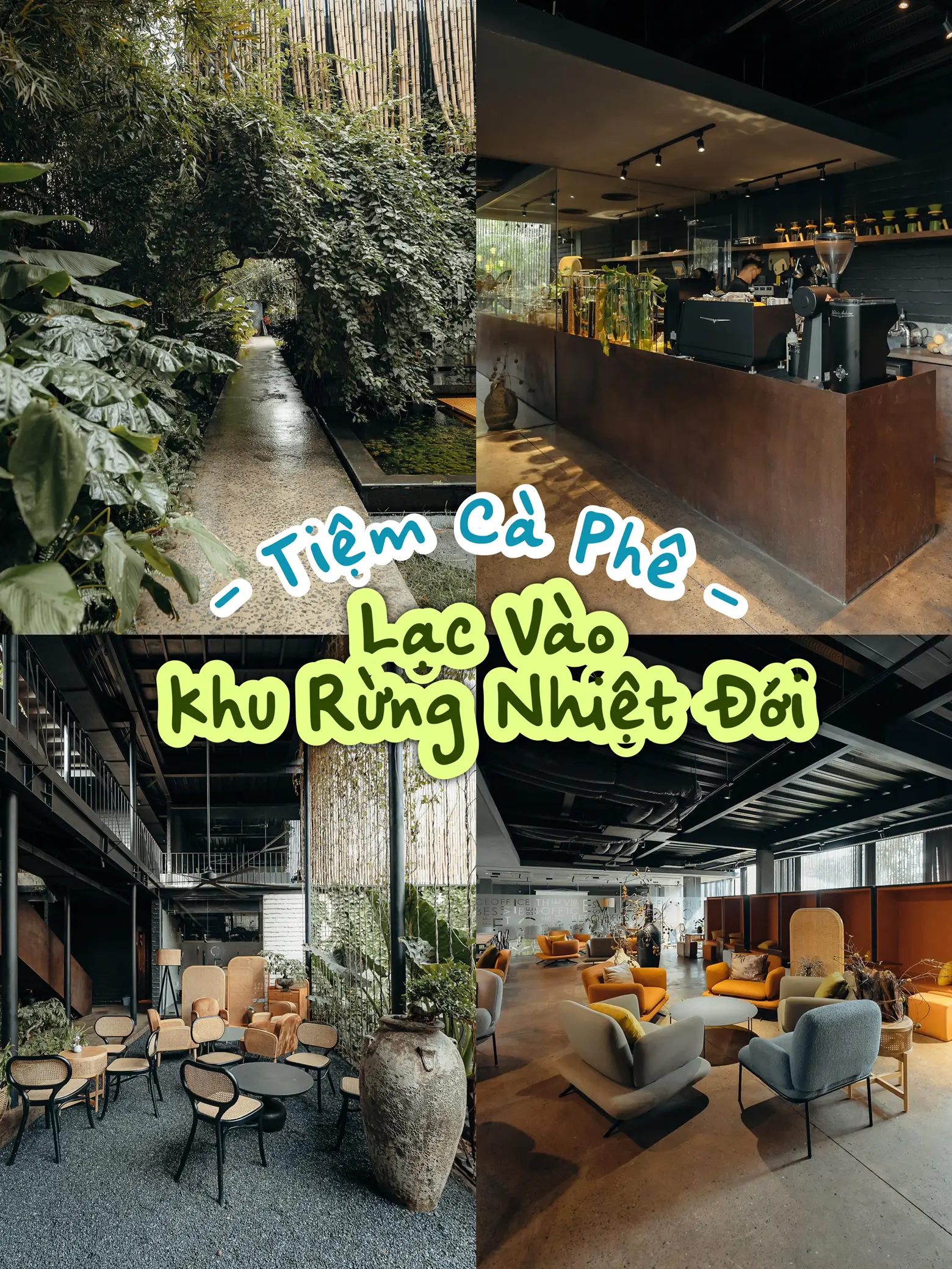 🌳Lạc vào khu rừng nhiệt đới giữa Sài Gòn🌳 | แกลเลอรีที่โพสต์โดย coffee.saigon | Lemon8