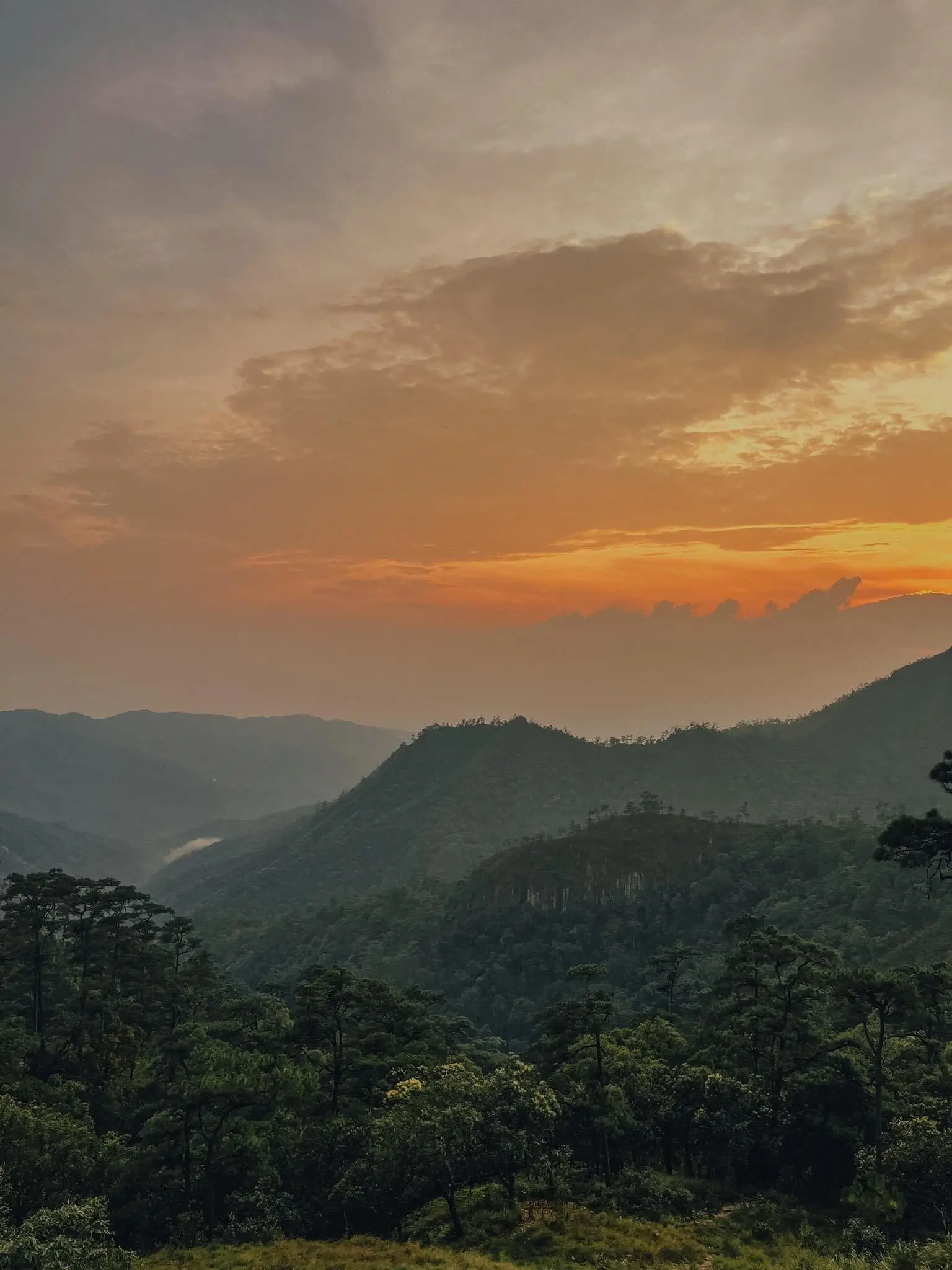 เดินป่าชิลล์ๆ (มั้ง) ที่ดอยลังกาน้อย | แกลเลอรีที่โพสต์โดย Nit Niramon | Lemon8