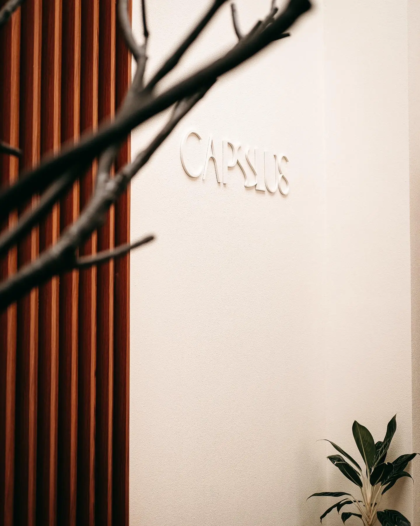 ร้านขนมย่านบางกะปิ - การค้นหาใน Lemon8