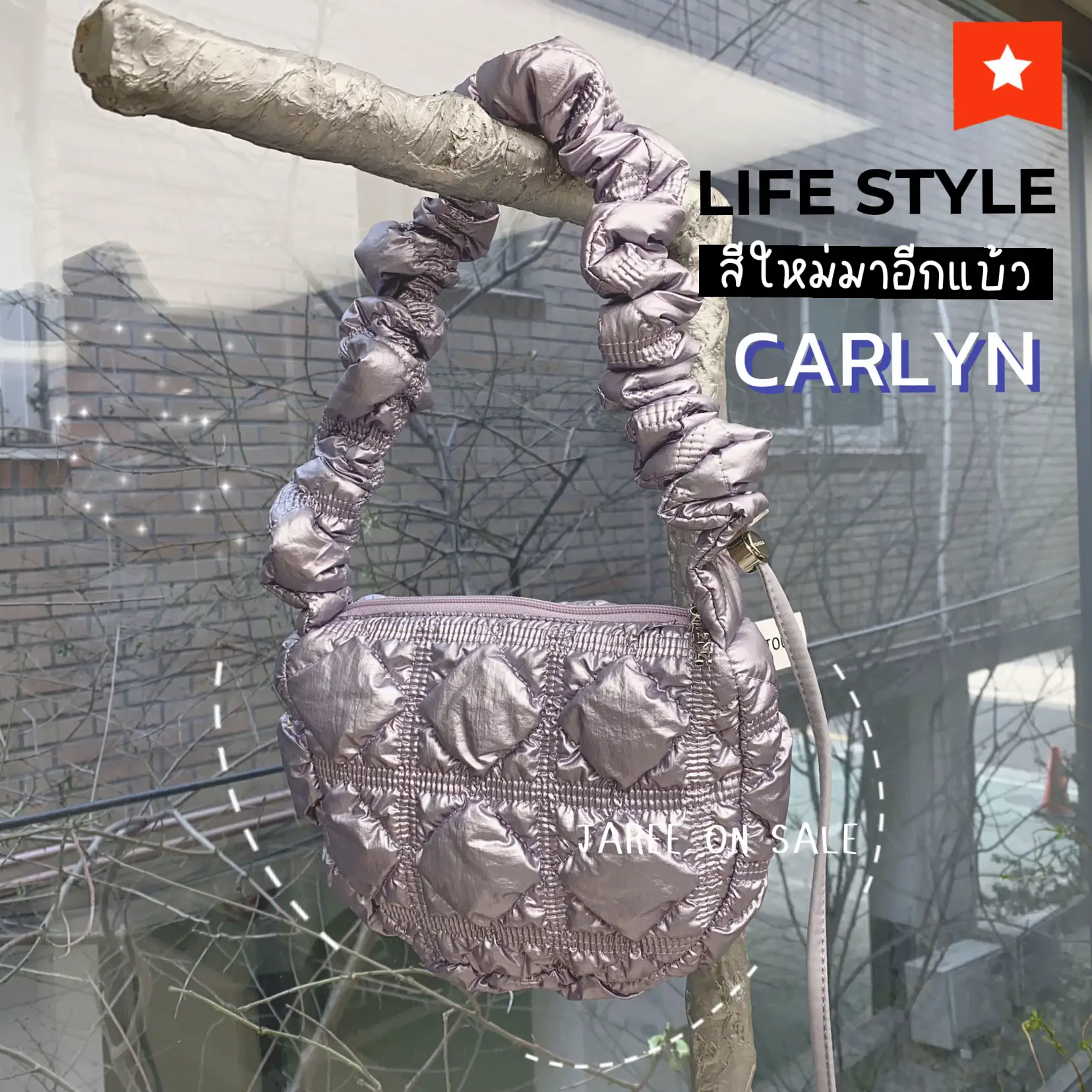 กระเป๋า CARLYN น้อง Poing สีใหม่มาแว้วว 🖤💜 | แกลเลอรีที่โพสต์โดย ʝαɾҽҽ ɯσɾʅԃ ᵕ̈ | Lemon8