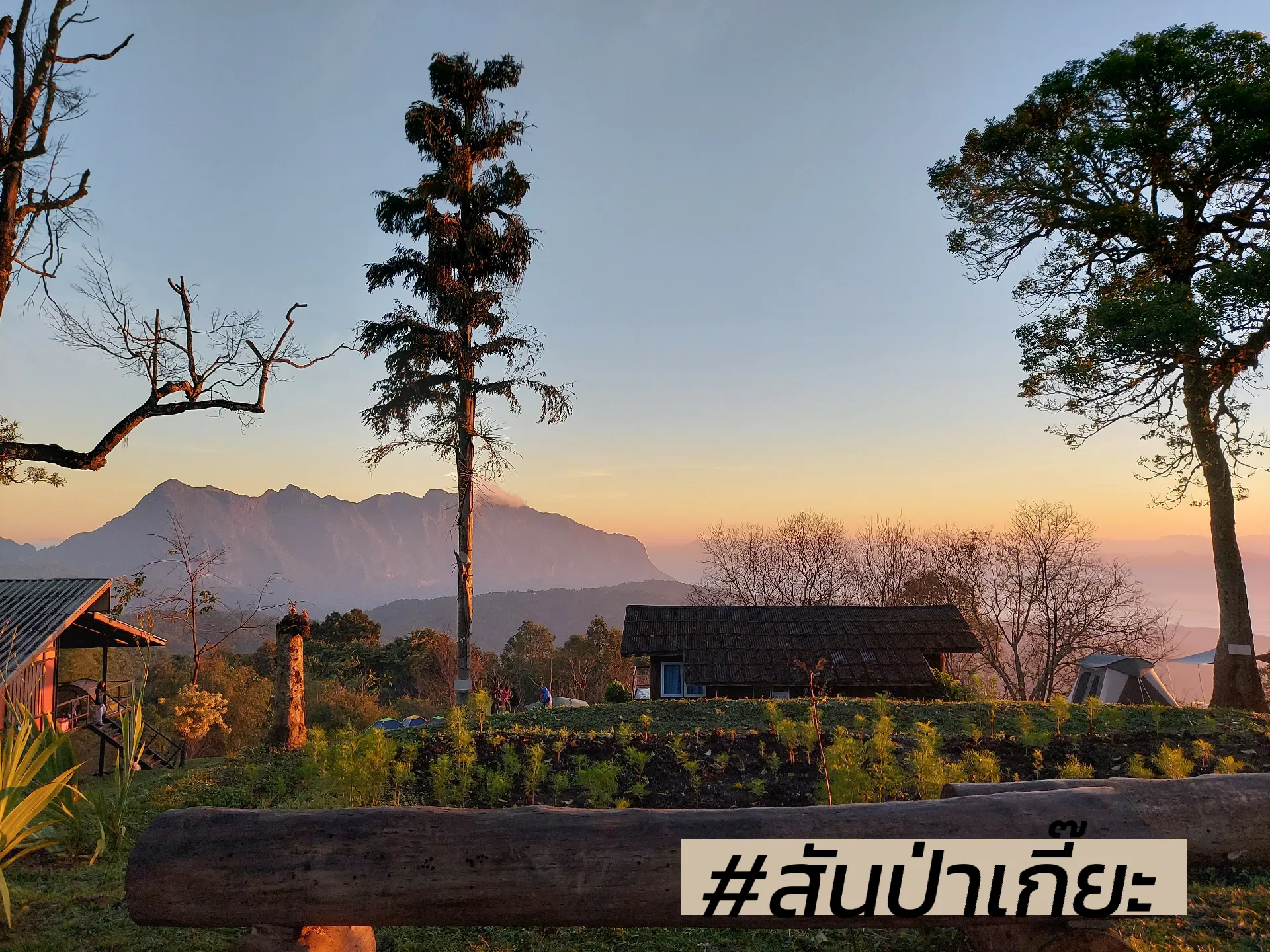 Go north, take a nice picture. Where's the little guy? | Gallery posted ...