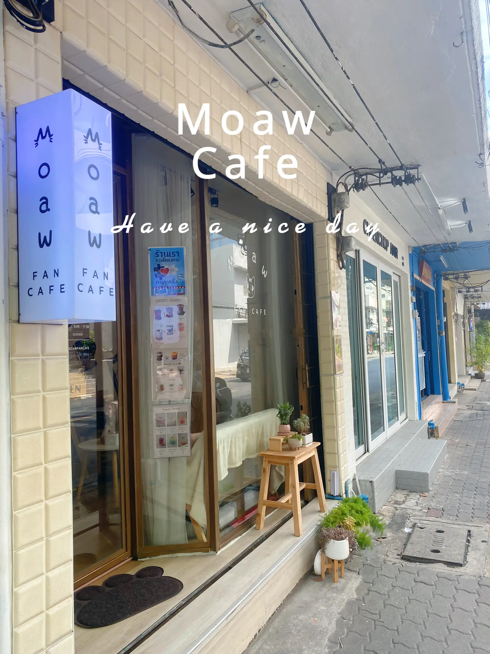 Moaw fan cafe🍰 | แกลเลอรีที่โพสต์โดย janpynx_ | Lemon8