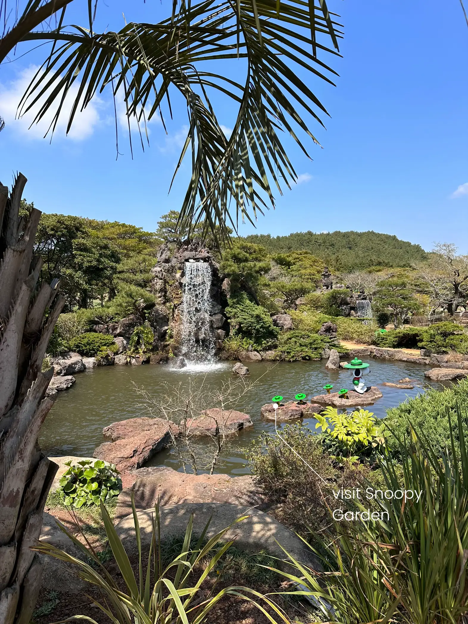 📌 10 things I did in Jeju in spring 🌸 | แกลเลอรีที่โพสต์โดย Ness | Lemon8