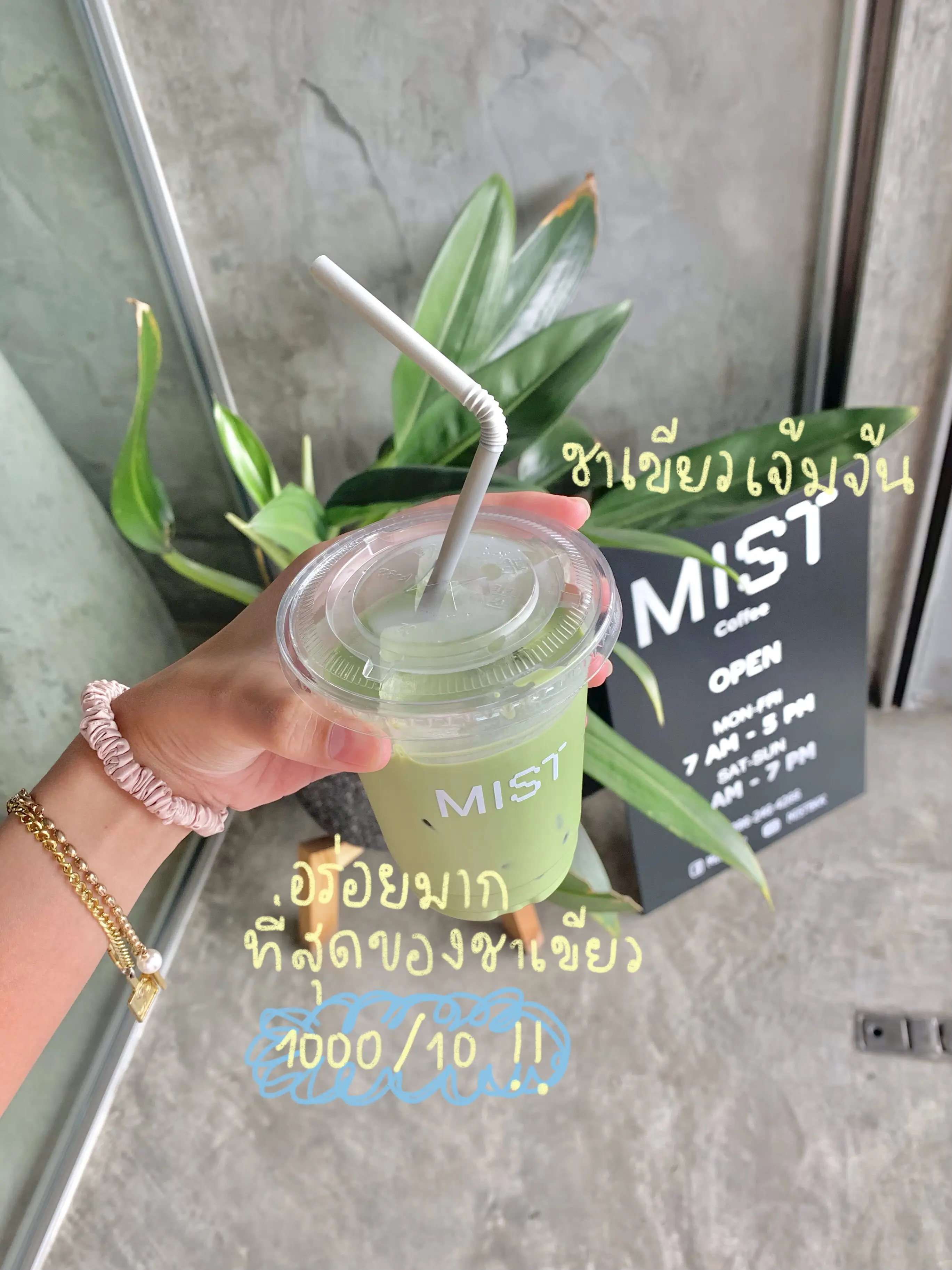 Mist coffee คาเฟ่สายชิลนั่งทำงานอ่านหนังสือต้องที่นี่! | แกลเลอรีที่ ...