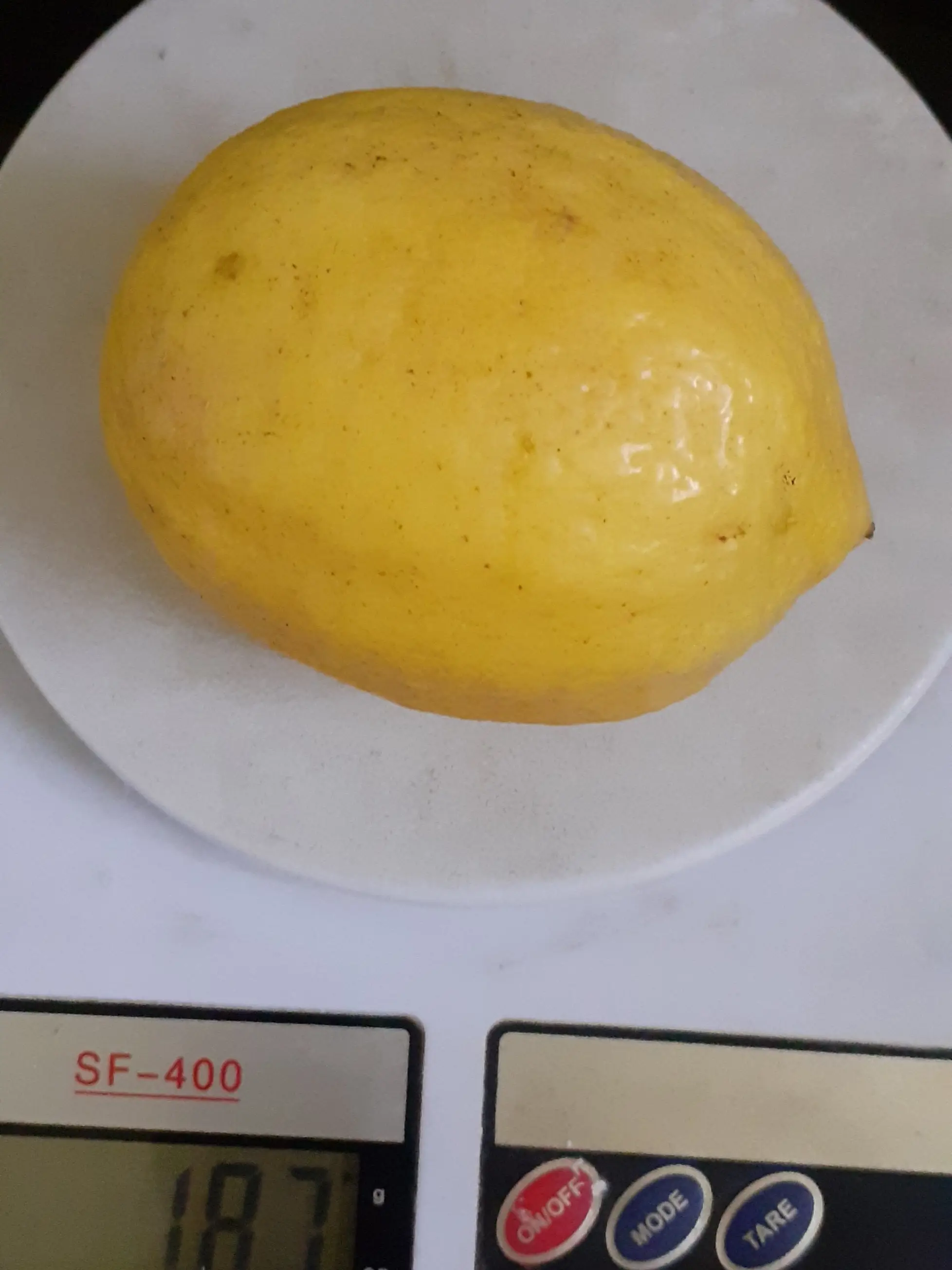 มาแต่งตัวให้ เลม่อนกันเถอะ | แกลเลอรีที่โพสต์โดย Metta Gentle | Lemon8