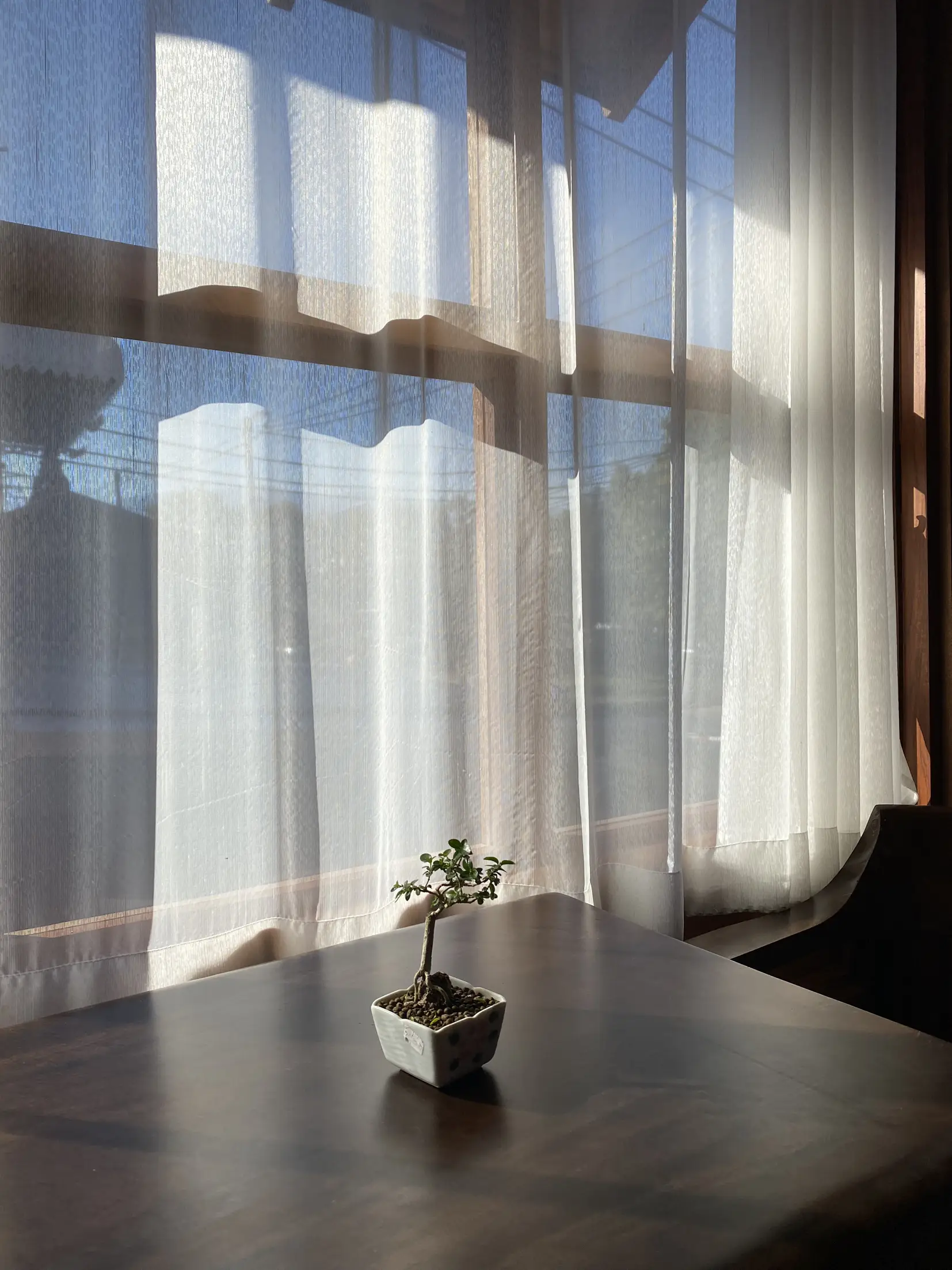 Cafe Hopping CNX @Koff & Things | แกลเลอรีที่โพสต์โดย ifound.a.love ♡ | Lemon8