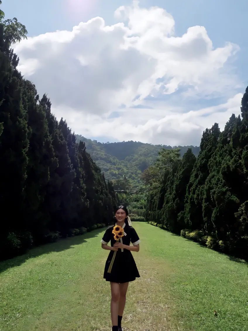 Cypress Lanes คาเฟ่สไตล์ยุโรป🌲🌲 | แกลเลอรีที่โพสต์โดย Moji | Lemon8