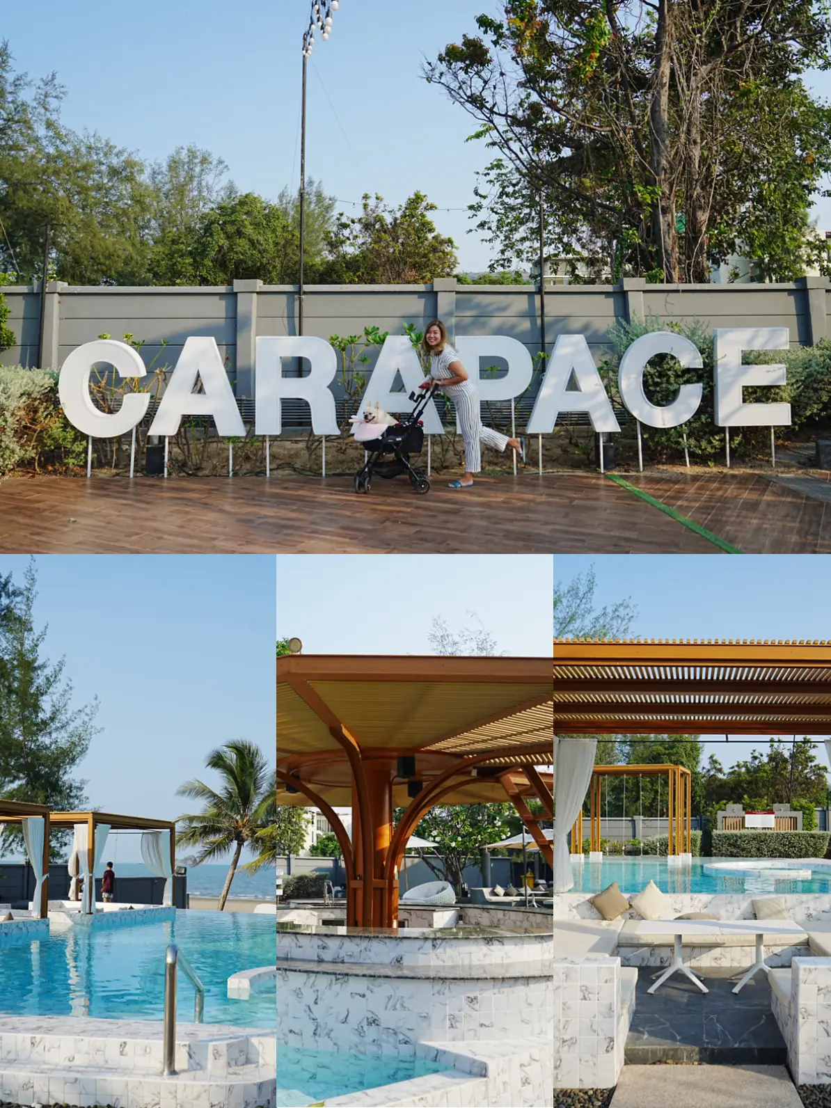 Best Western Plus Carapace รร ใหม่กริปหัวหินไม่ถึง 3,000 | แกลเลอรีที่ ...