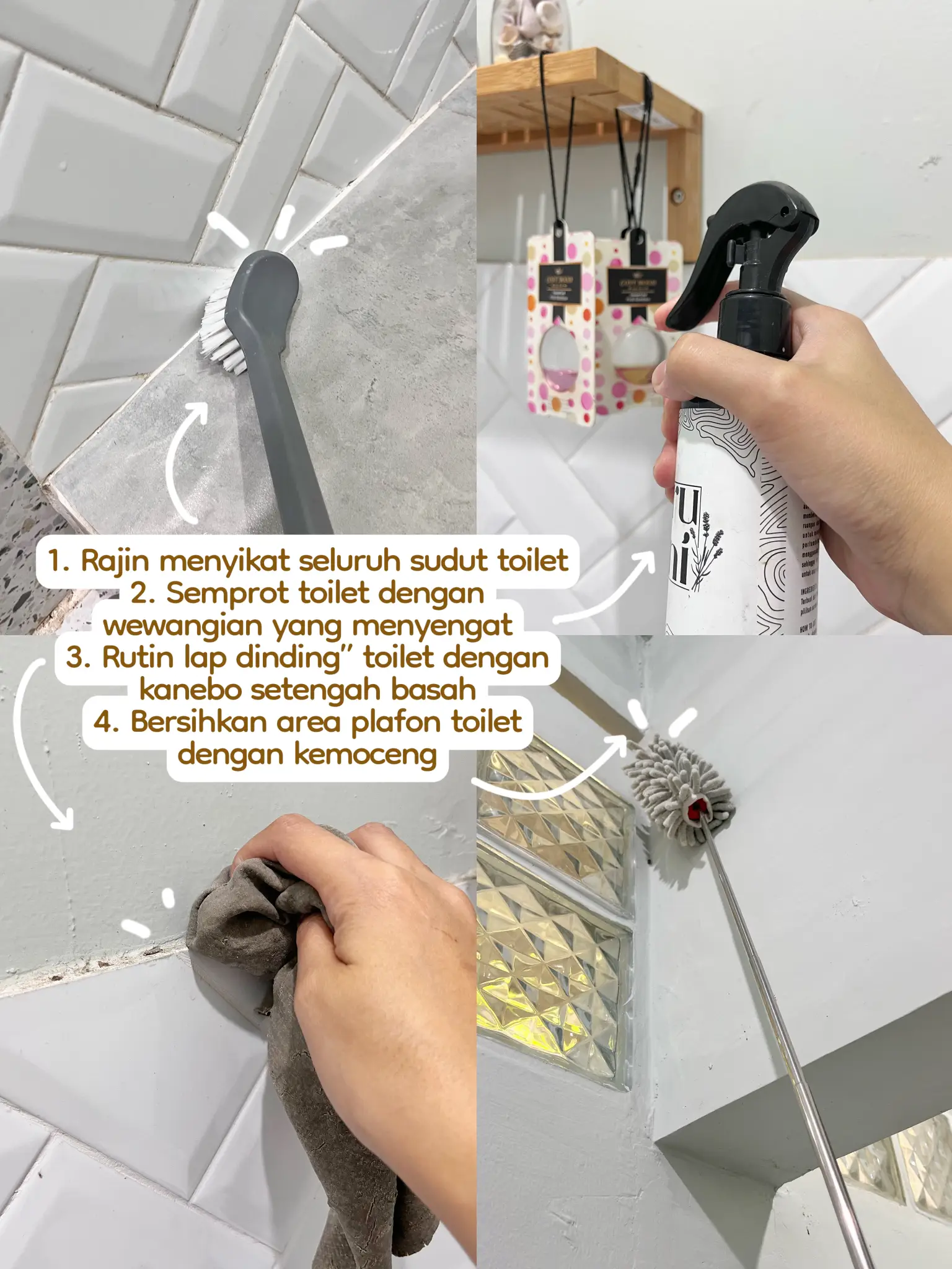 Ngeri! Hewan Ini Bisa Bikin Gatel Sebadan” 😥🥺 | Galeri diposting oleh ...