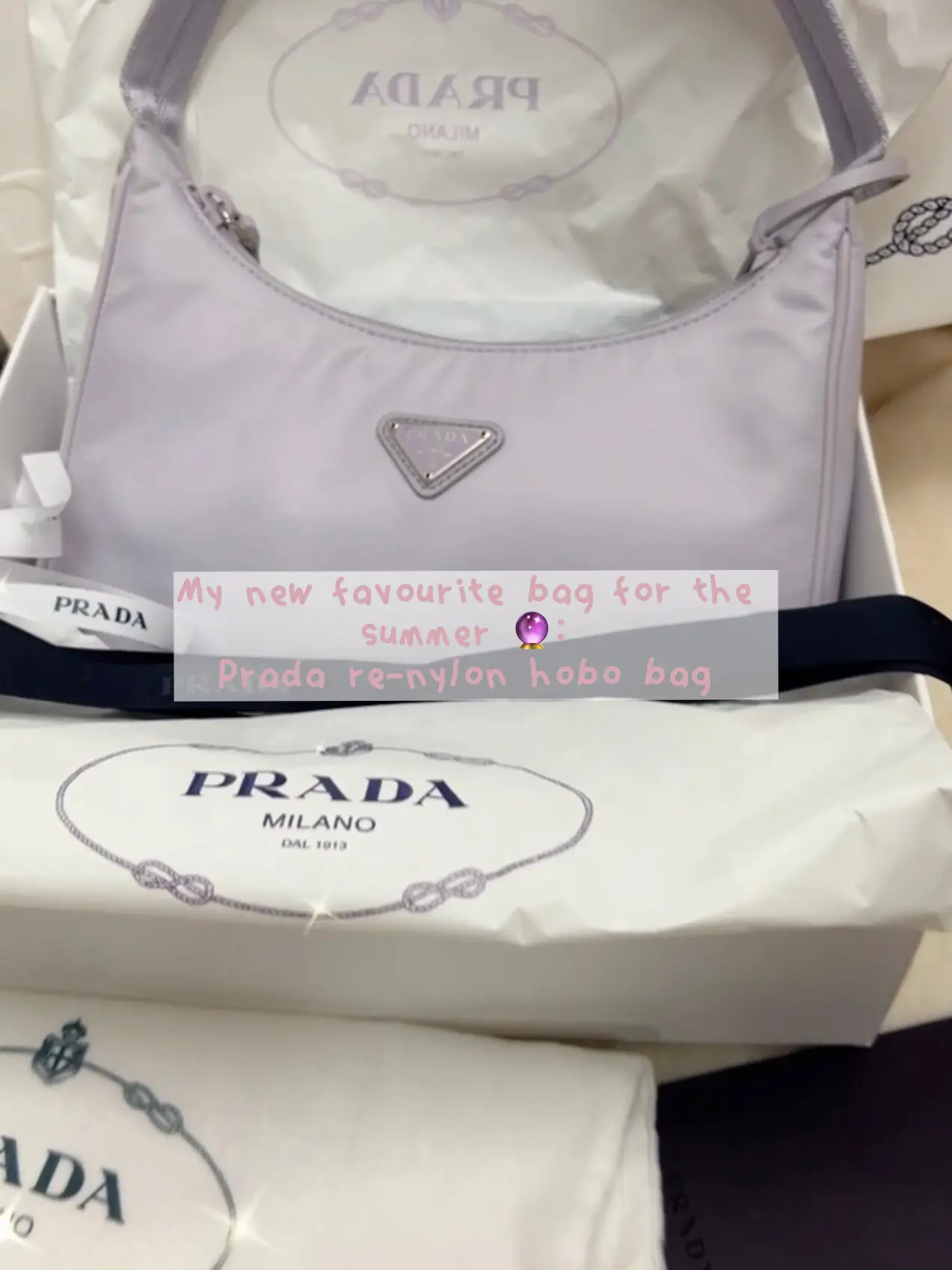 Introducing little ms yam🍠 | Gallery posted by Tan Simyi | Lemon8