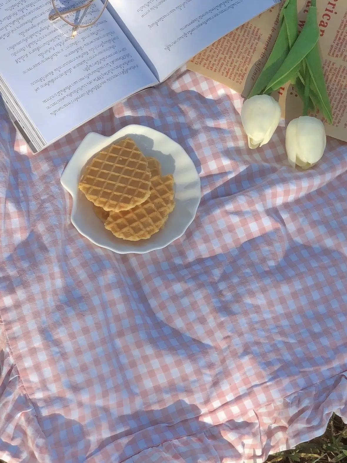 Howto แชร์ทริคถ่ายรูปปิคนิคนอกบ้าน 🧃🧀🌿 | แกลเลอรีที่โพสต์โดย Tiwa | Lemon8