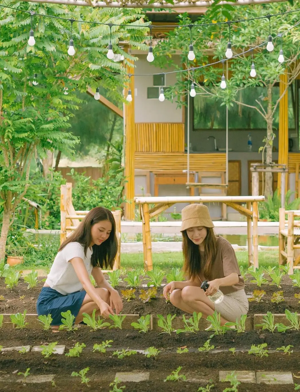 หนีความวุ่นวาย มาพักกายพักใจที่ บ้านข้างข้าว โฮมสเตย์กลางทุ่งนา | แกลเลอรีที่โพสต์โดย lbzero ...