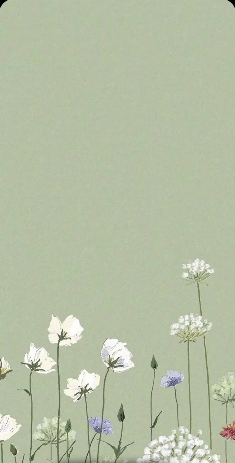 rekomendasi jumsuit | Video dipublikasikan oleh ar.recommended | Lemon8