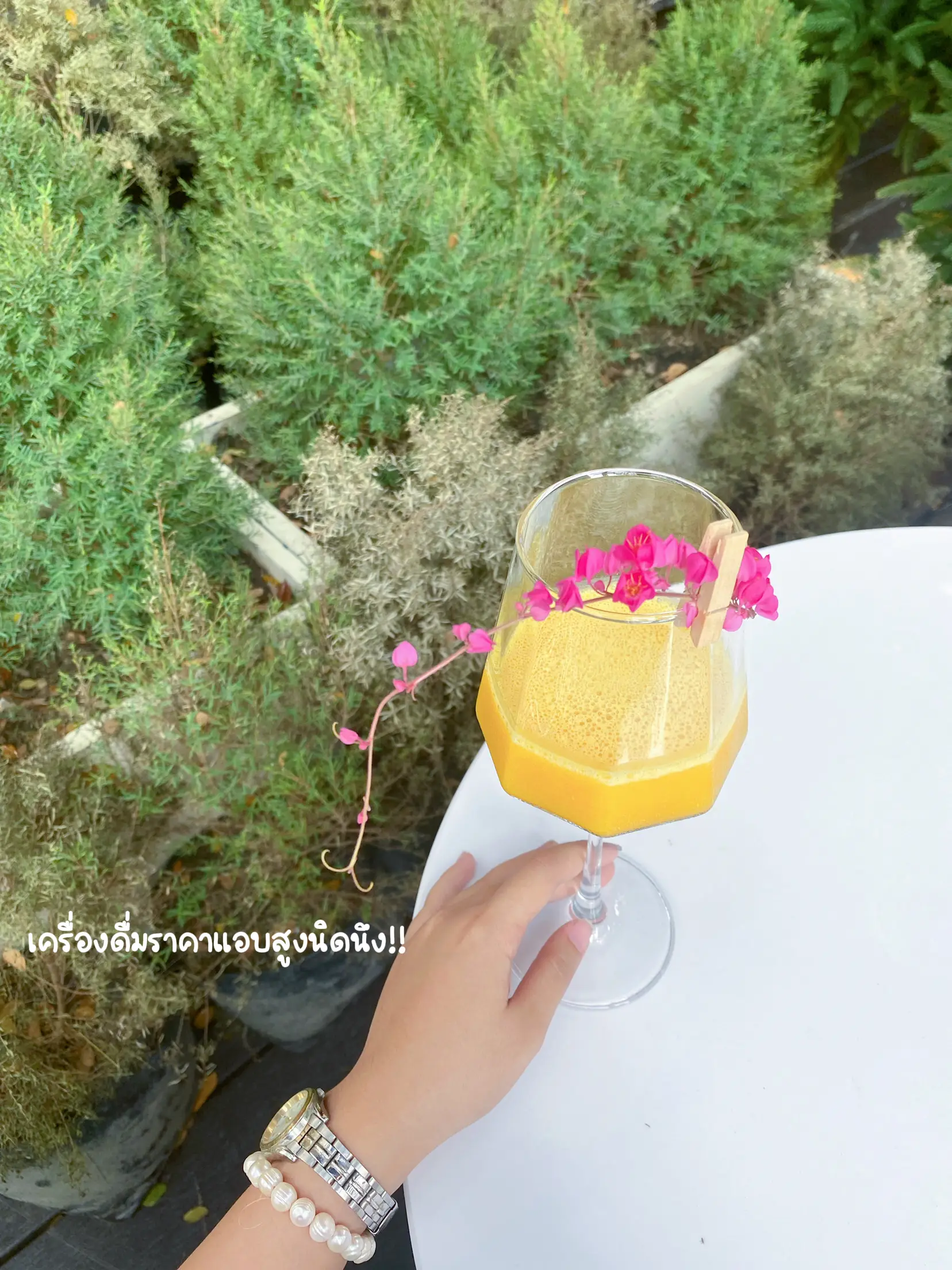 Cafe ตากอากาศ ⛅️ | แกลเลอรีที่โพสต์โดย Kunview | Lemon8