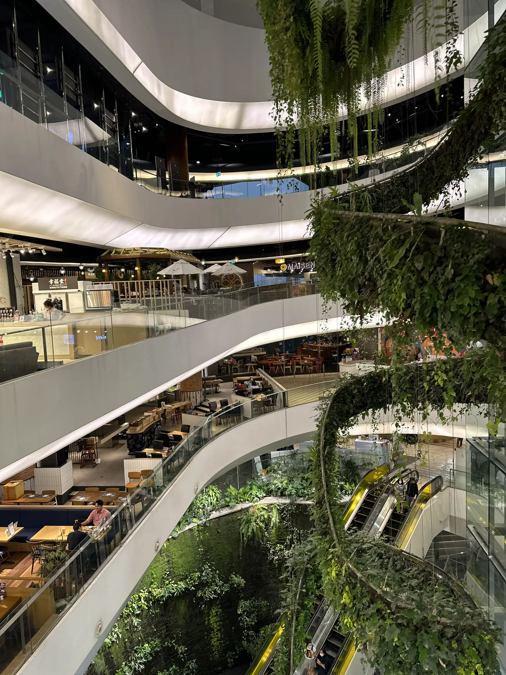 📸 EmQuartier บรรยากาศสวนลอยฟ้ากลางกรุงชั้น 6-9 | แกลเลอรีที่โพสต์โดย ...