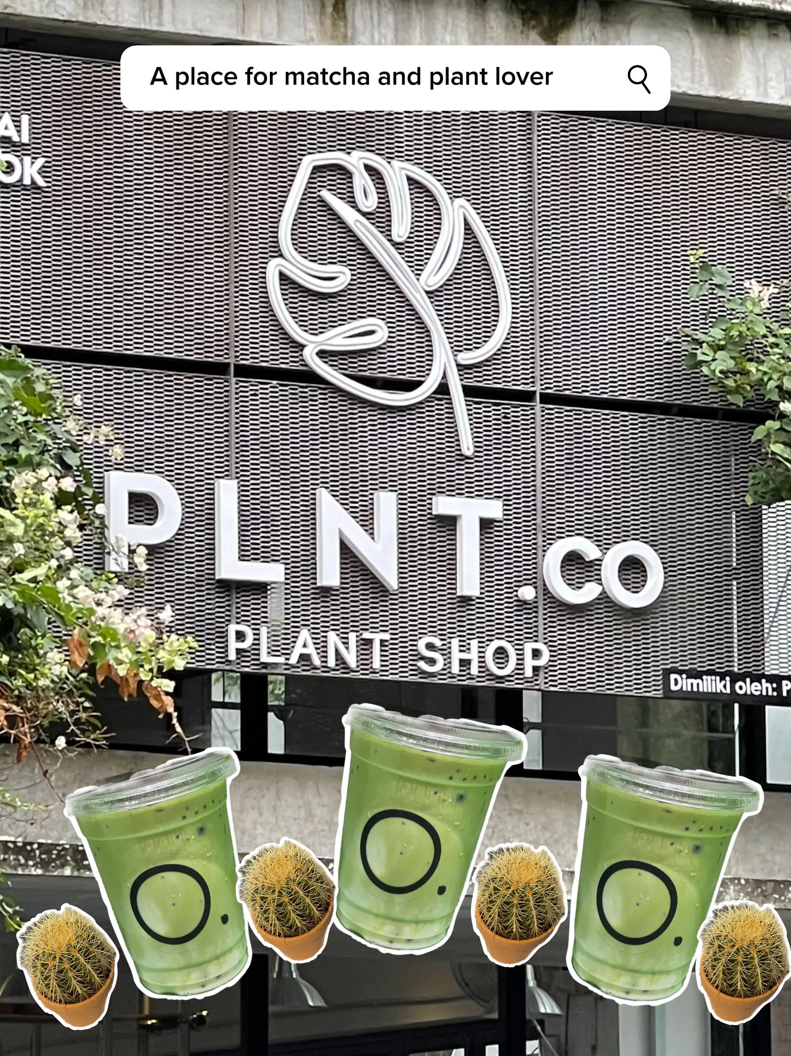 7 Best Matcha Spots to try in KL & PJ! | Galeri disiarkan oleh MFT | Lemon8