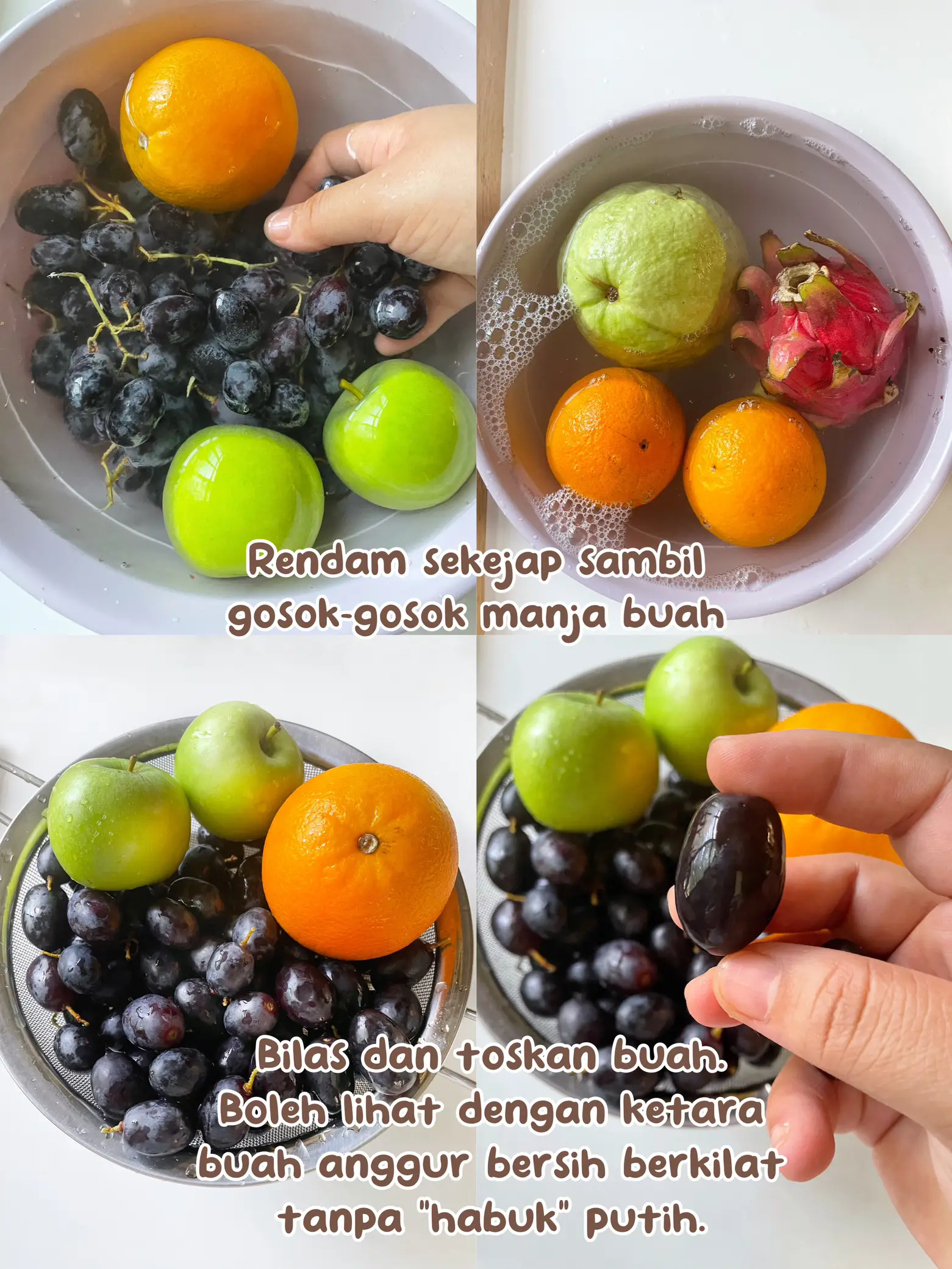 Fruit Orders - Carian Lemon8