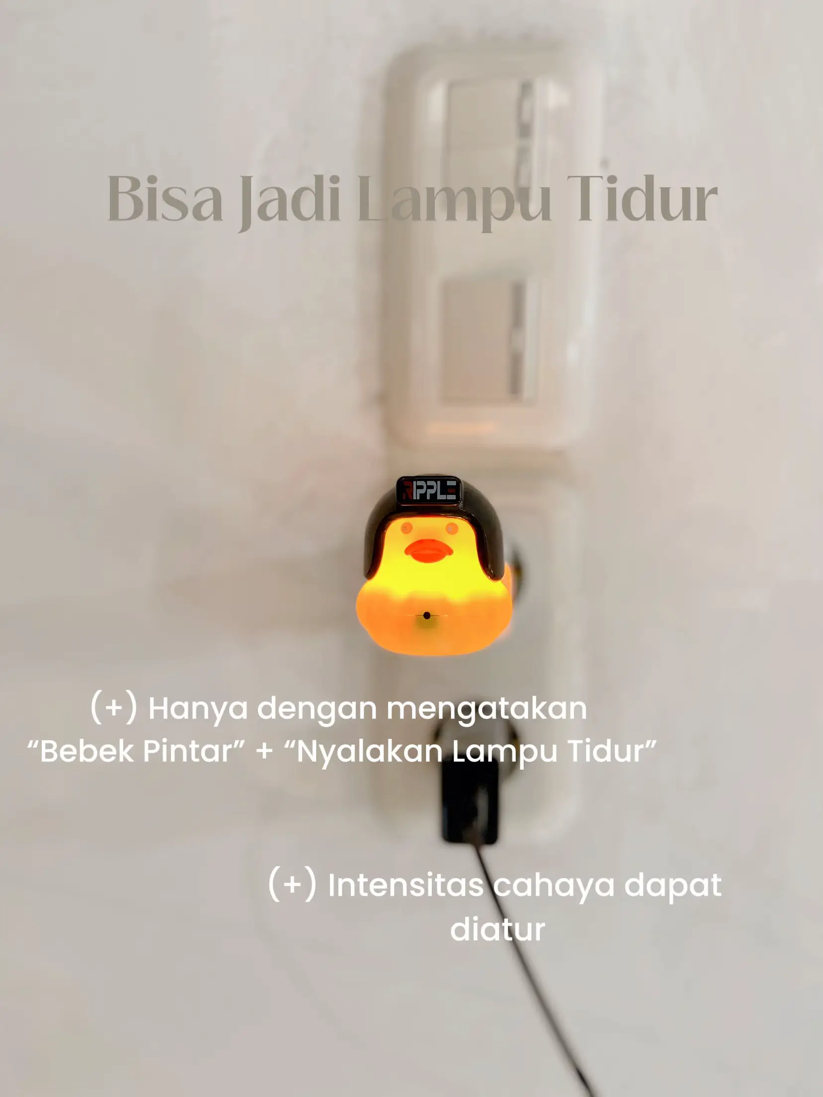 BUY OR BYE! Si Bebek Pintar,Google home LOW budget | Galeri diposting ...
