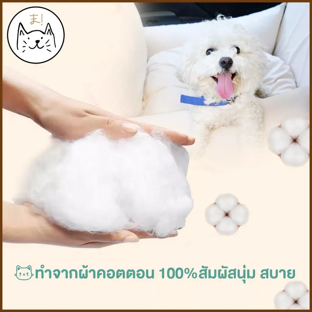 DOG CAR SEAT🐶 ที่นั่งน้องหมาในรถยนต์ ของมันต้องมีมั้ย? | แกลเลอรีที่ ...