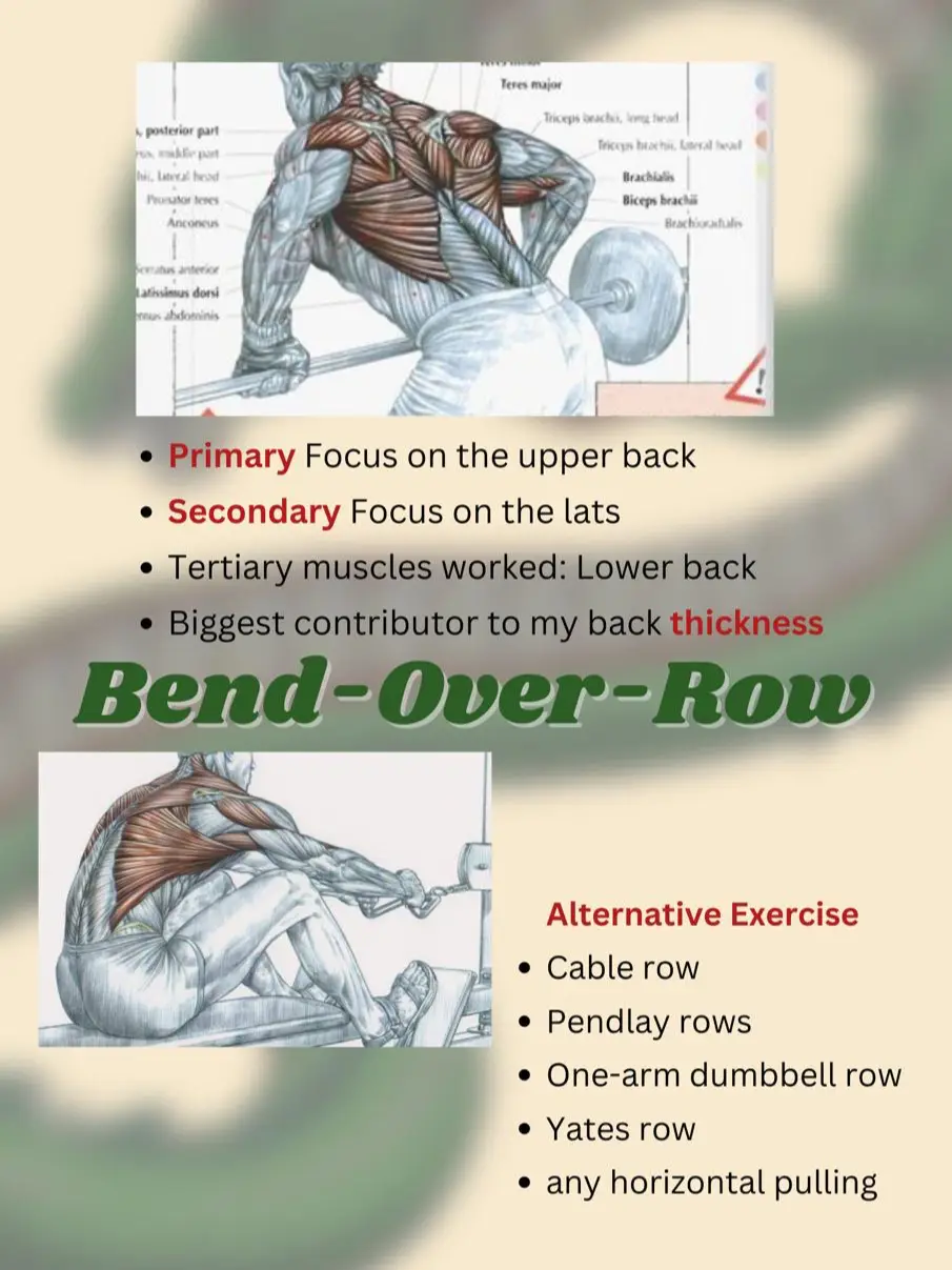 START BUILDING YOUR 💯 V-TAPER‼️ | Gallery posted by Edsel | Lemon8