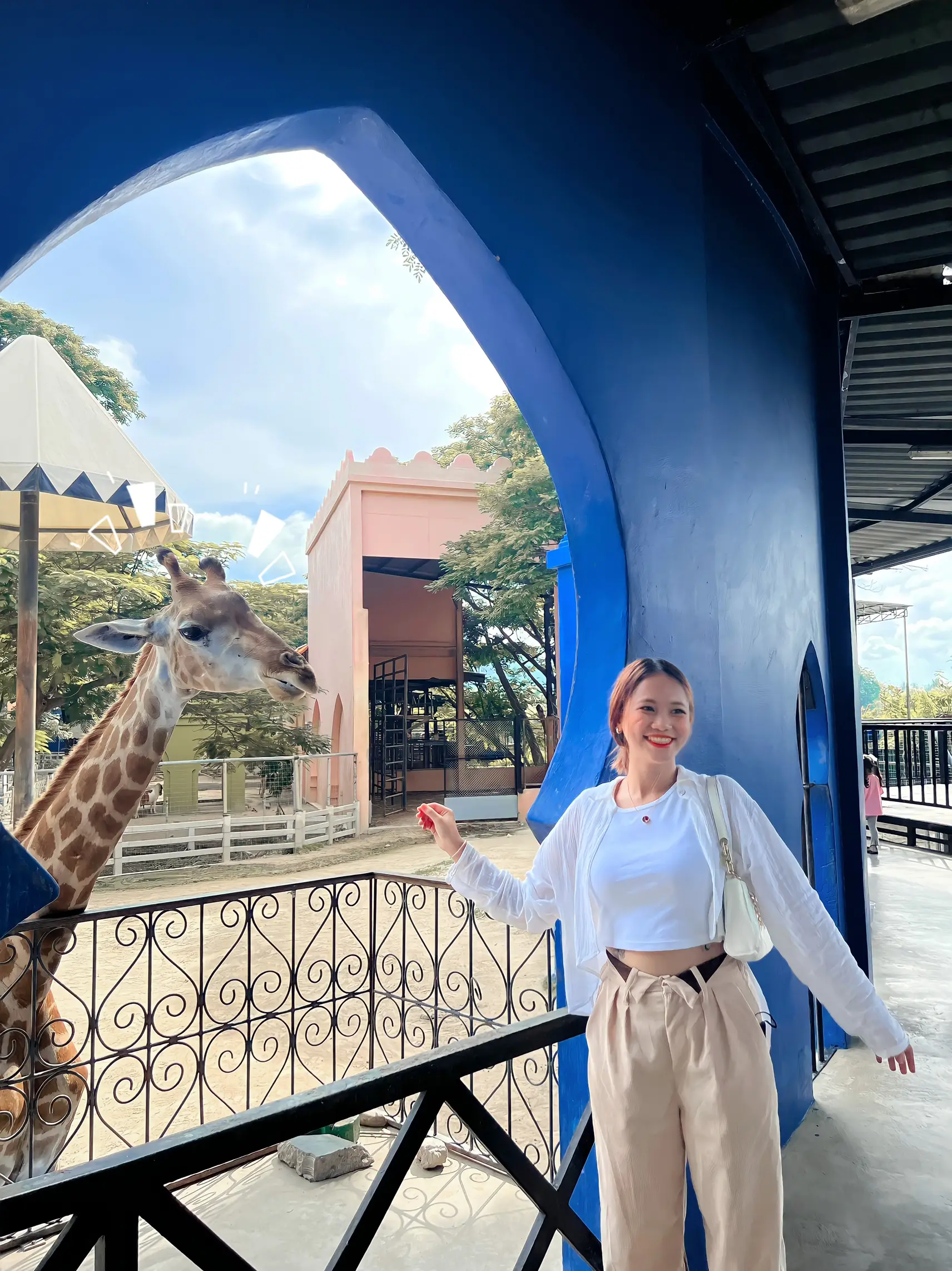 ไปดูอูฐกันนน~~~ 🐫 | แกลเลอรีที่โพสต์โดย Paloy Polyy | Lemon8