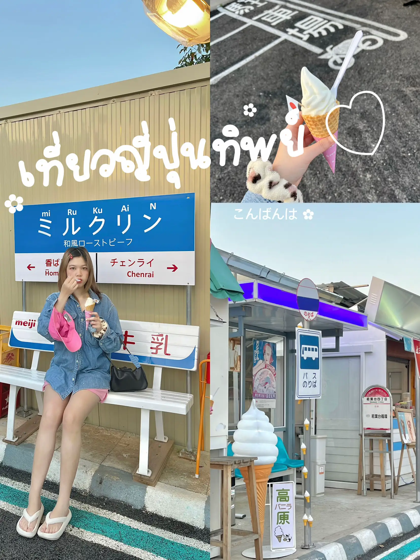 OSHI OSHI 🎌🇯🇵 ยกญี่ปุ่นมาอยู่ใกล้บ้าน | Gallery posted by cigarlouis | Lemon8